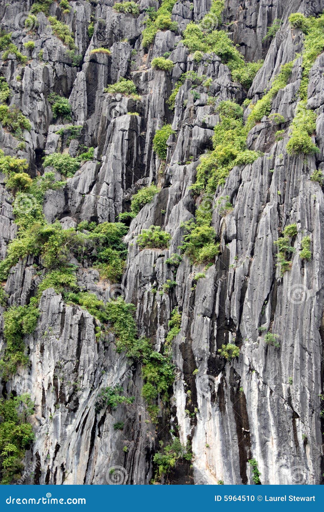 Limestone stock photo. Image of tropical, asia, rocks - 5964510