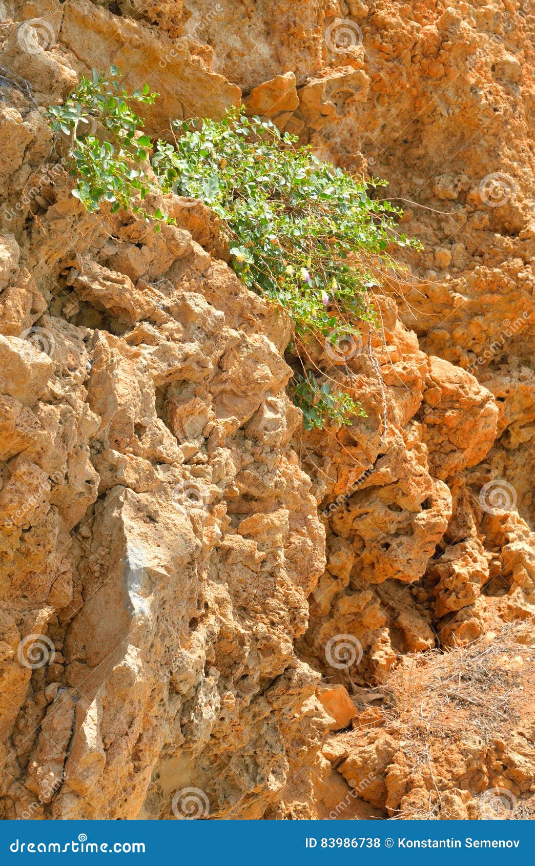 Limestone Background Close Up. Stock Photo - Image of background ...