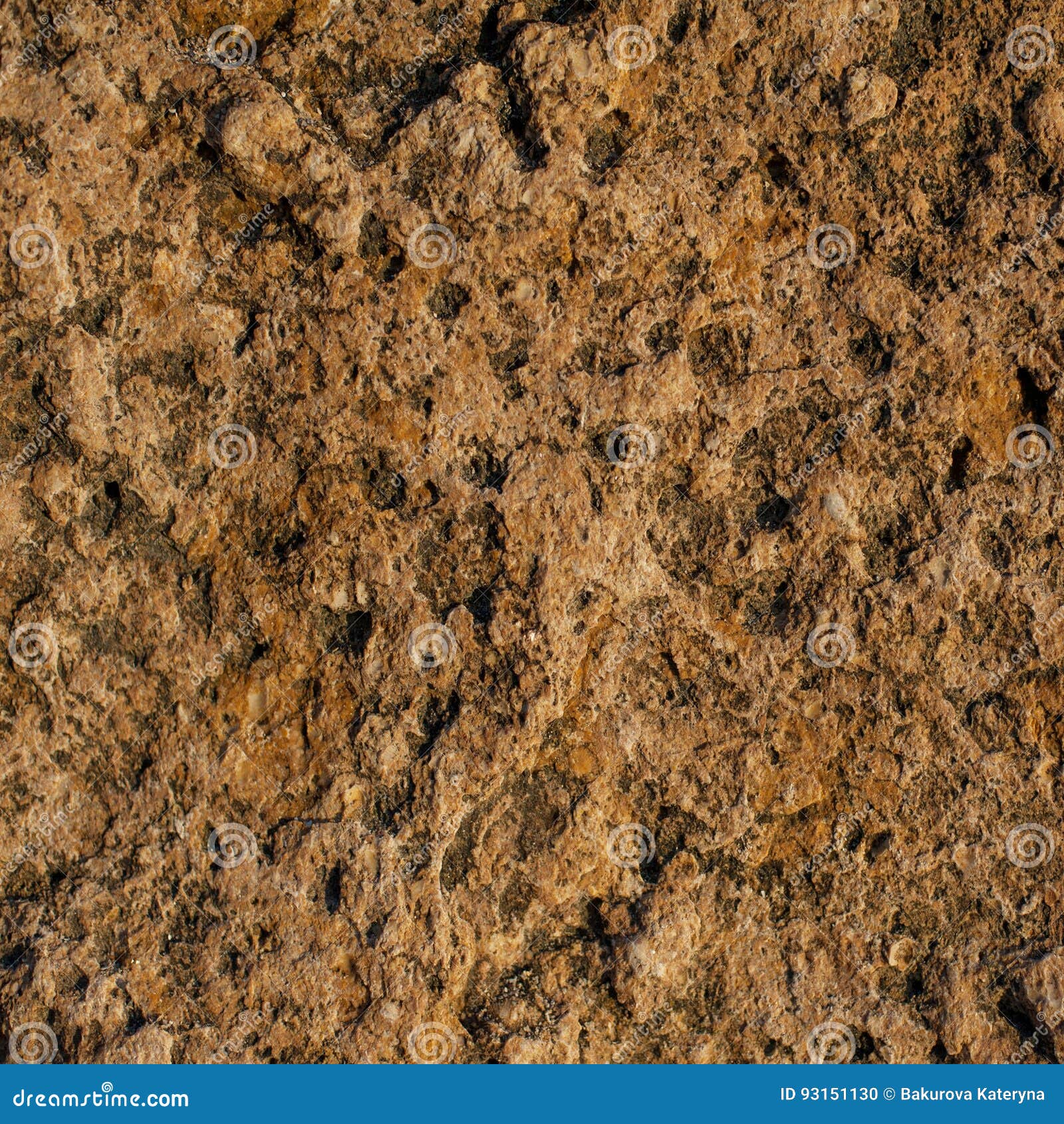 Limestone Background Seamless Pattern Stock Photo - Image of marine ...