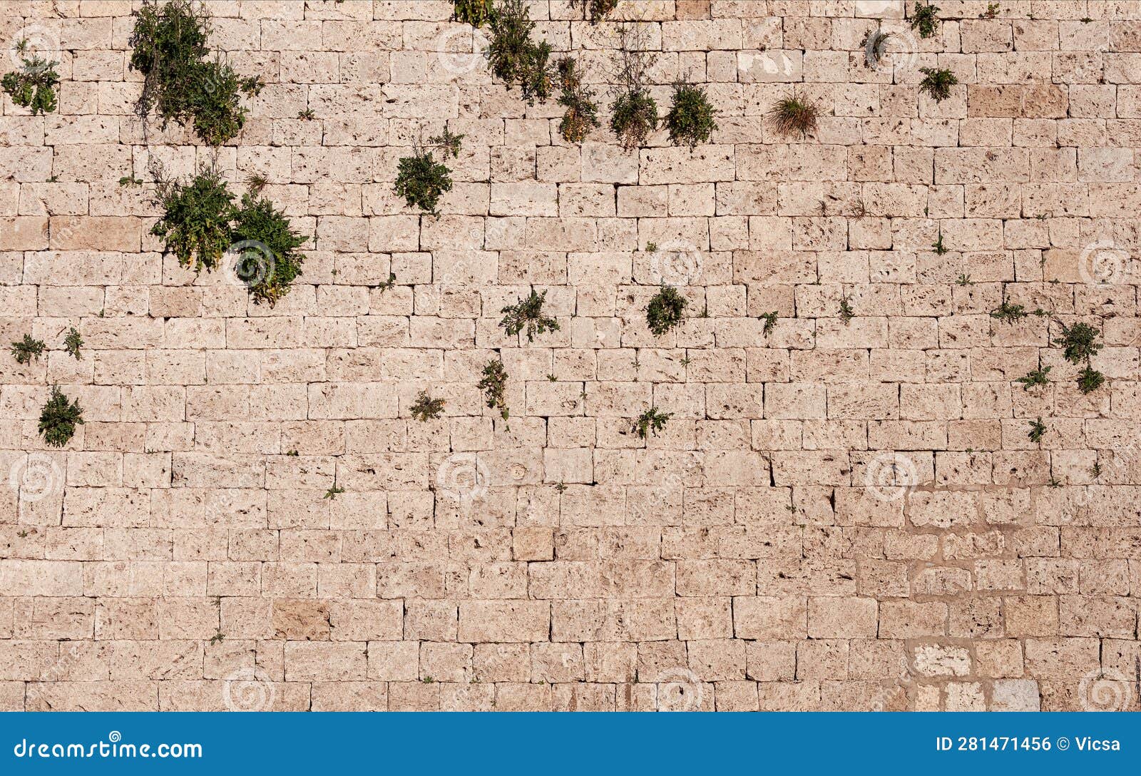 Limestone Block Wall Texture Stock Photo - Image of backdrop, wall ...