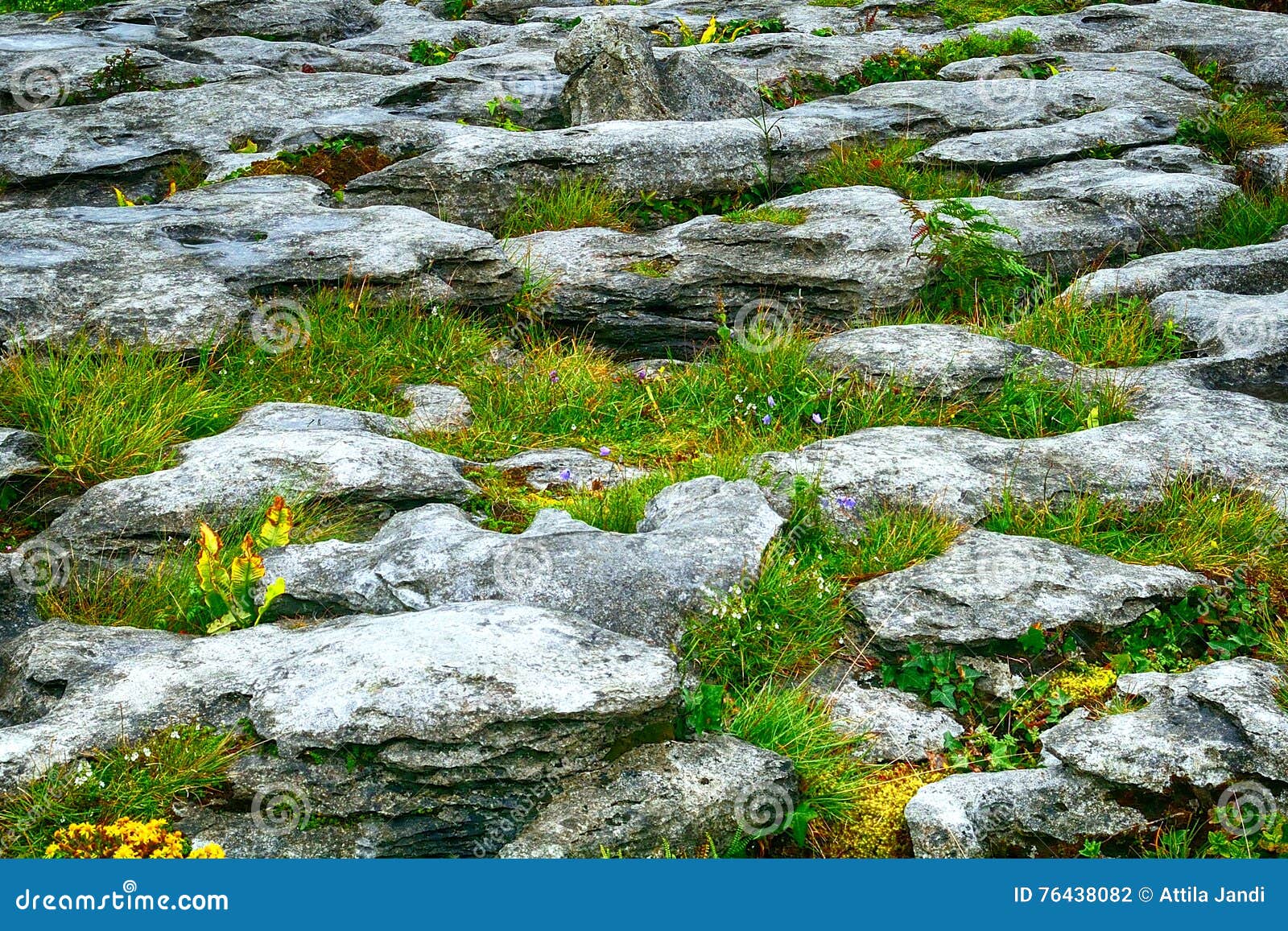 Limestone, the Burren National Park, Ireland Stock Photo - Image of ...