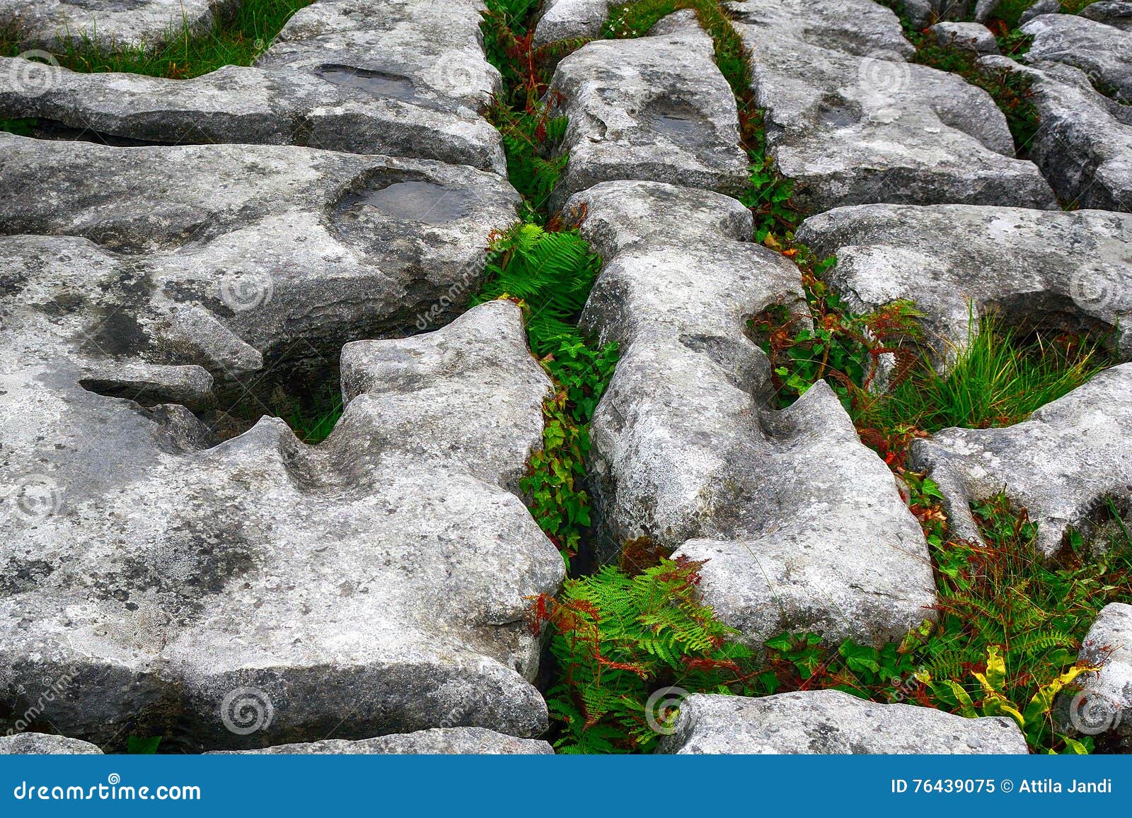 Limestone, the Burren National Park, Ireland Stock Image - Image of ...
