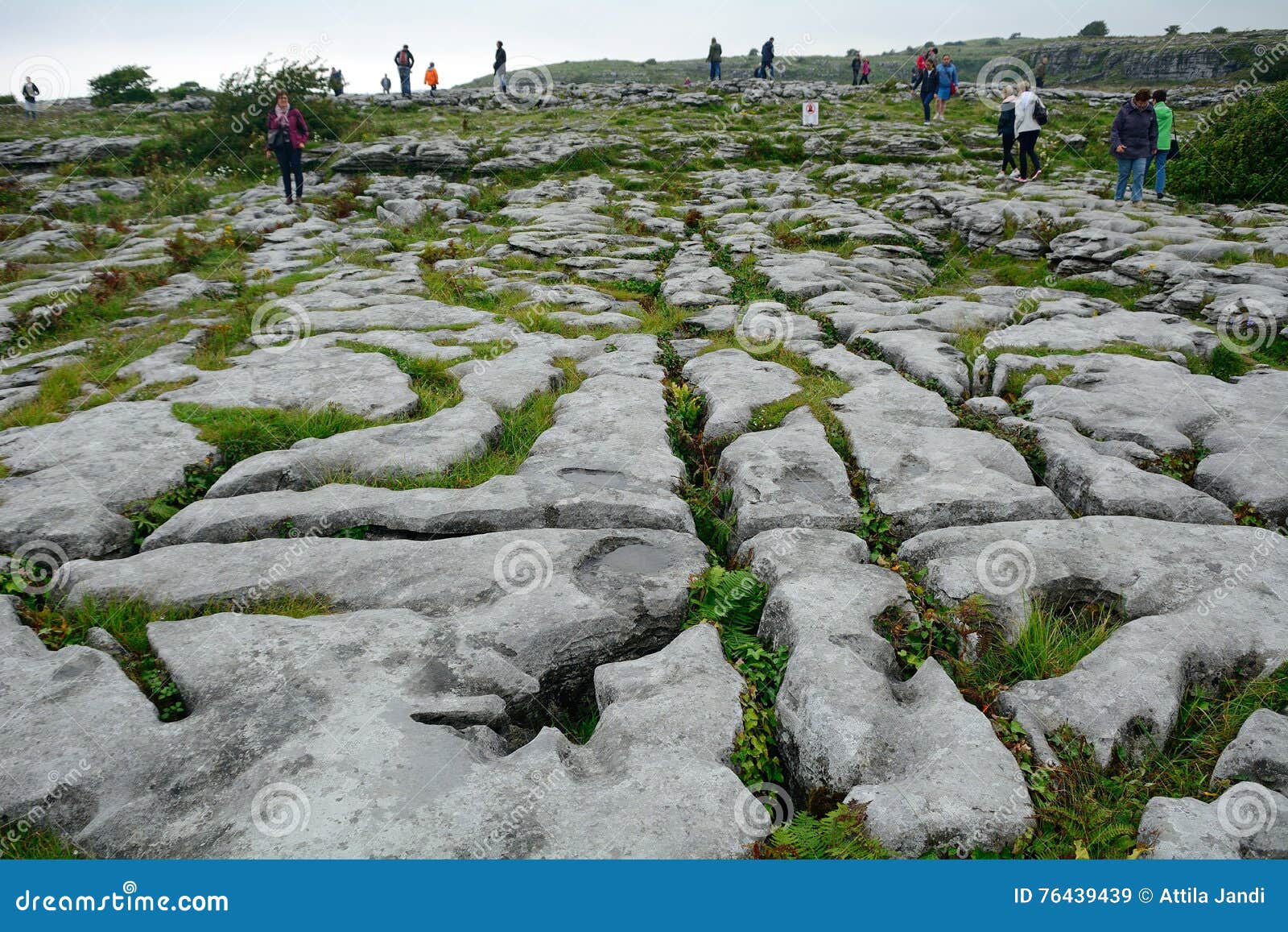 Limestone, the Burren National Park, Ireland Editorial Stock Image ...