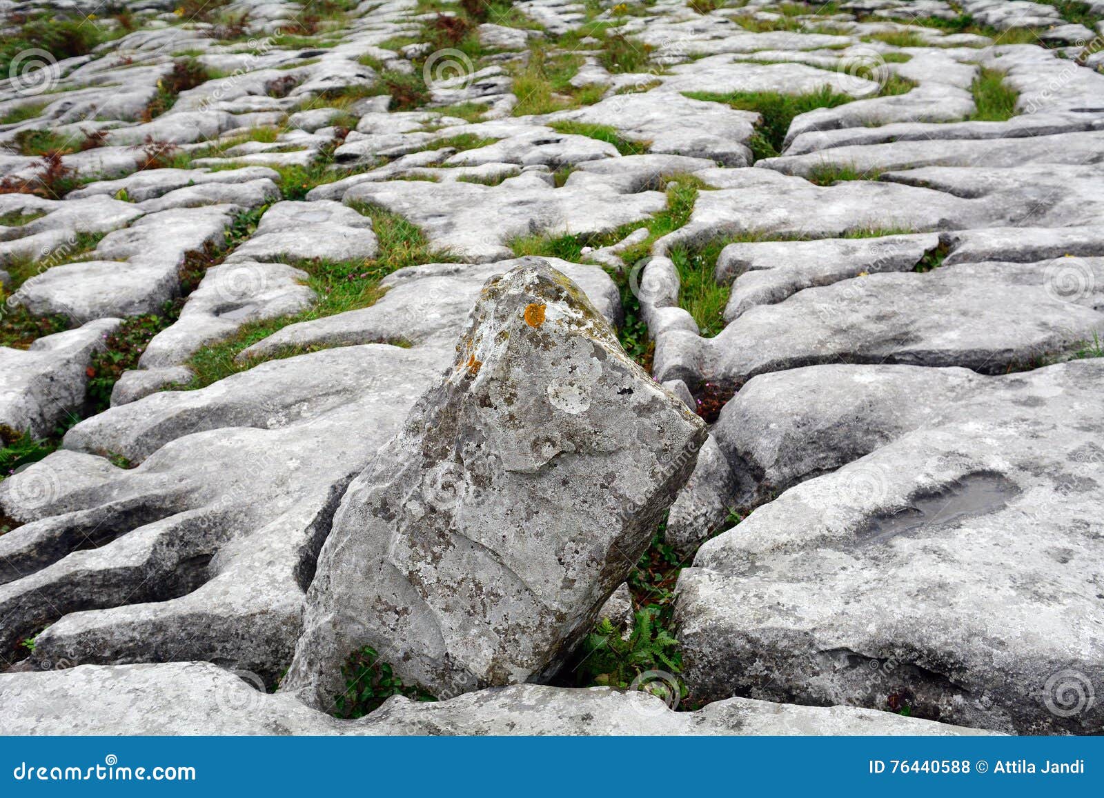 Limestone, the Burren National Park, Ireland Stock Photo - Image of ...