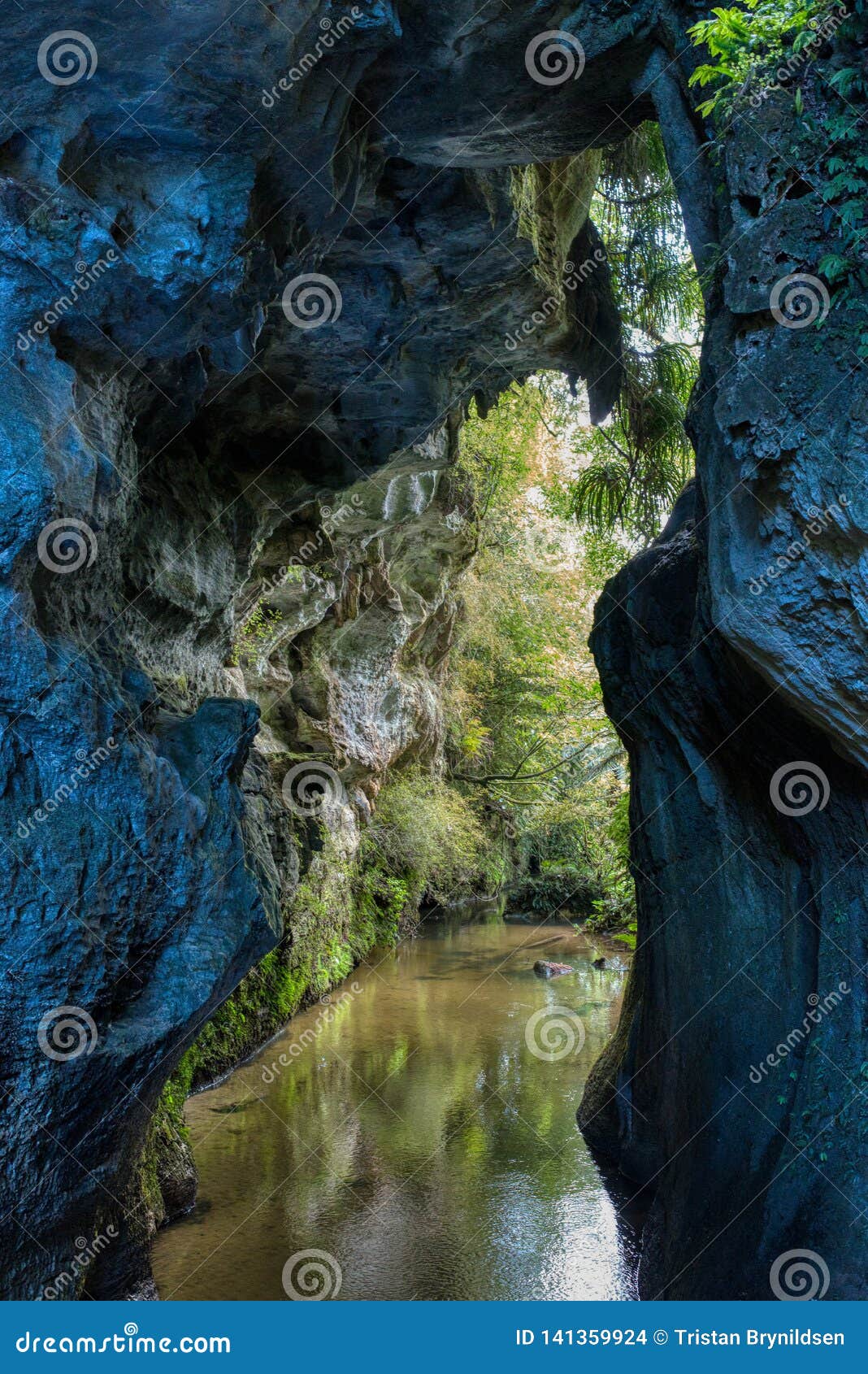 Limestone Cave On The Mangapohue Natural Bridge Walk Stock Photography ...