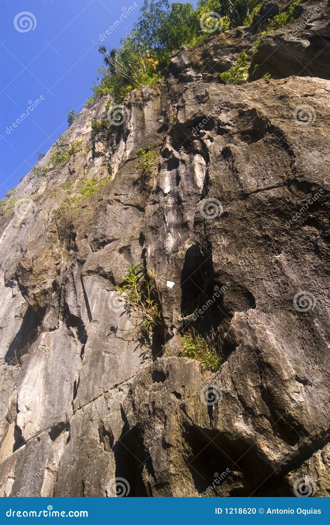 Limestone Cliff stock photo. Image of rock, green, relax - 1218620