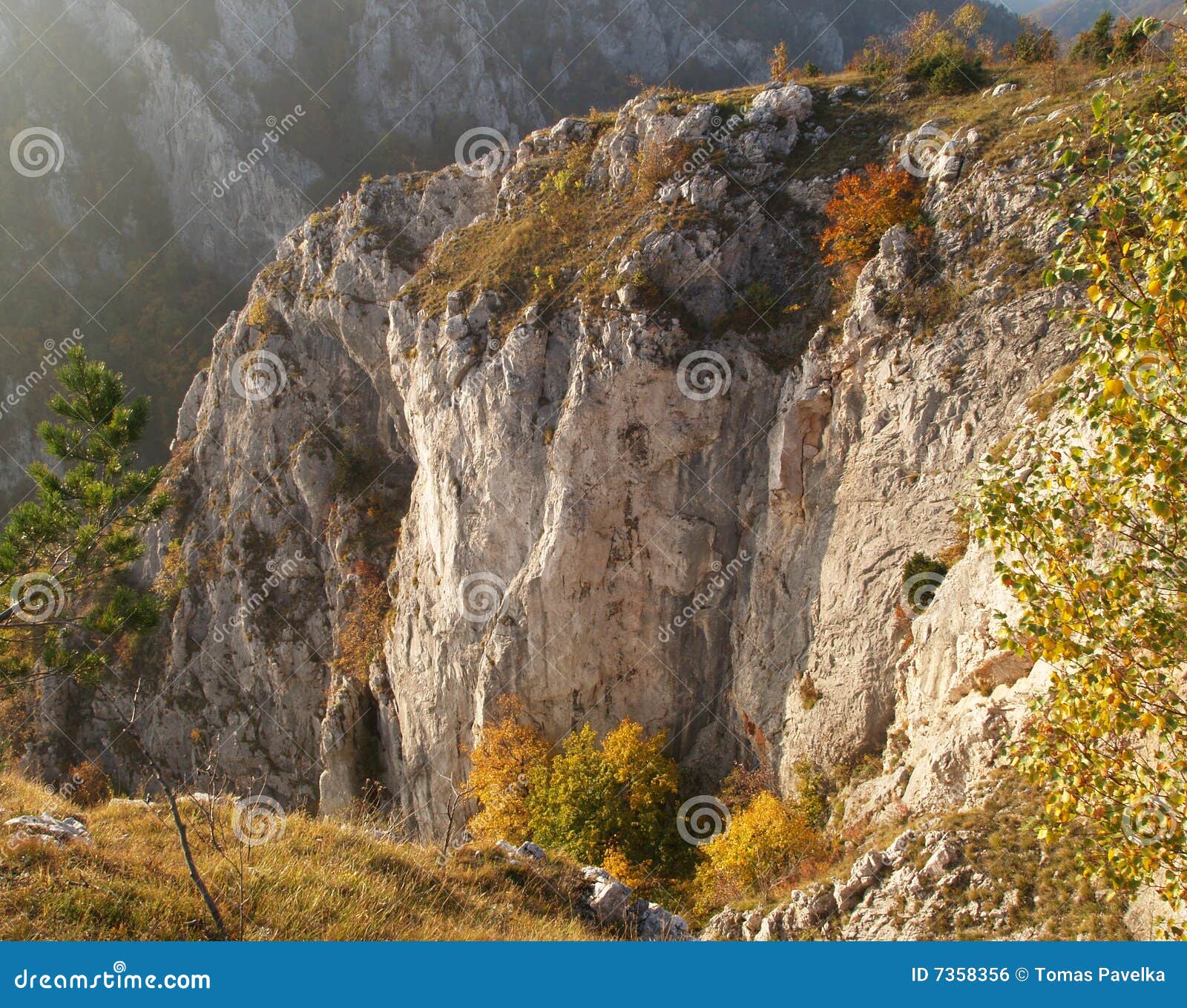 Limestone cliff stock photo. Image of fall, light, bush - 7358356