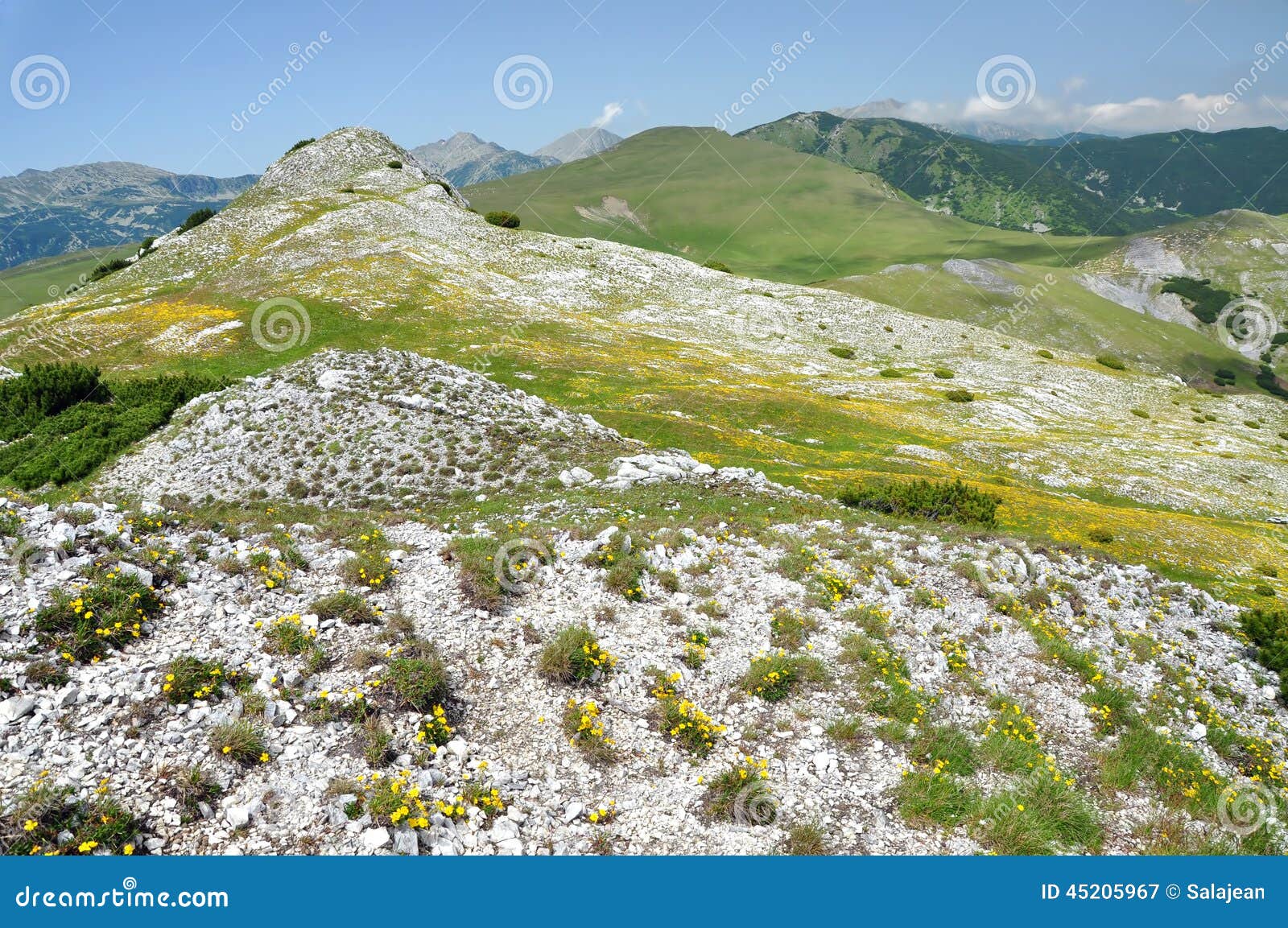 Limestone Cliffs in Retezat Mountain, Romania Stock Image - Image of ...