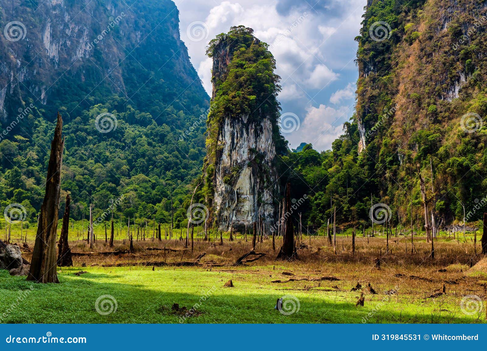 Limestone Cliffs and Tropical Jungle in a Remote Wilderness Stock Image ...
