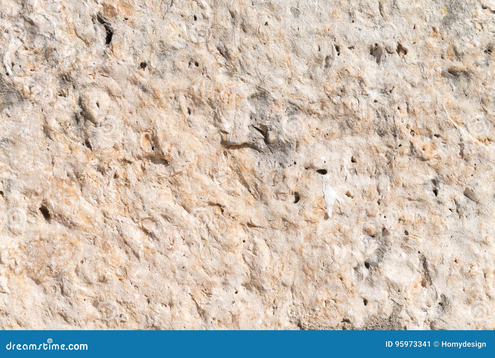 Limestone stock image. Image of marl, cavity, decorative - 95973341