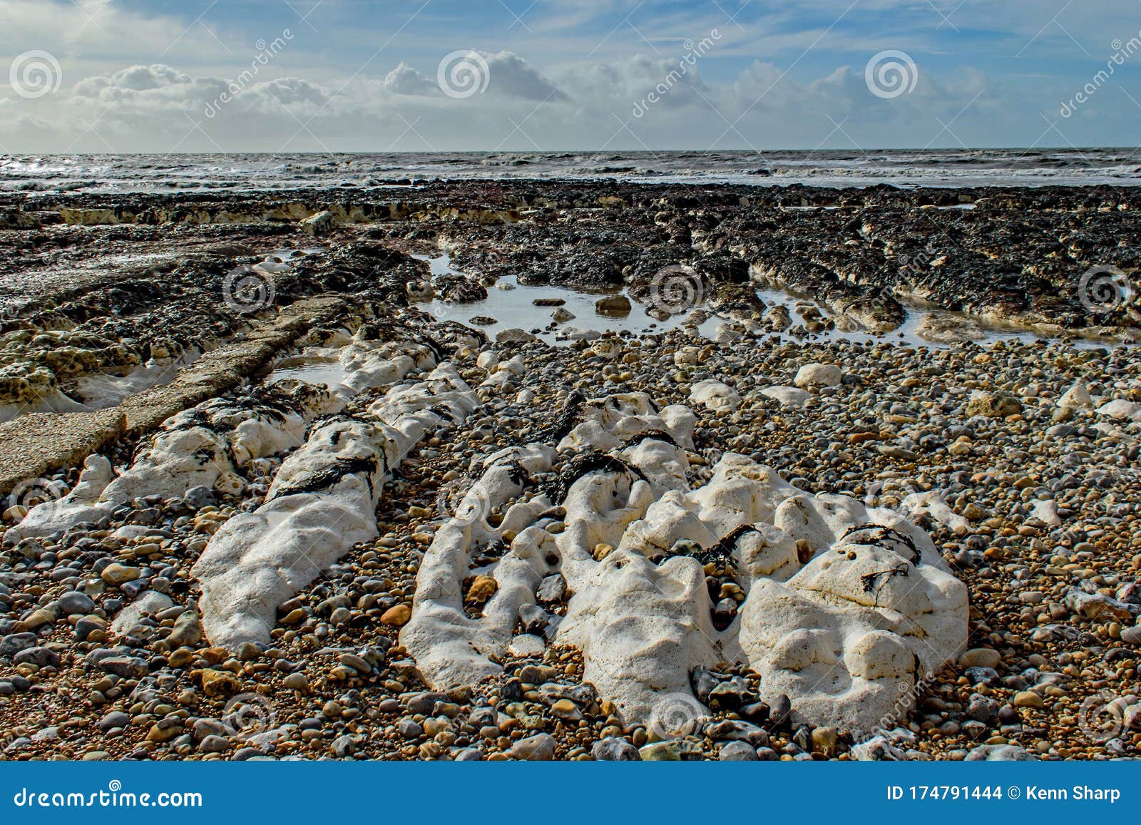 Limestone Erosion Down on the Rocky Beach Stock Photo - Image of ...
