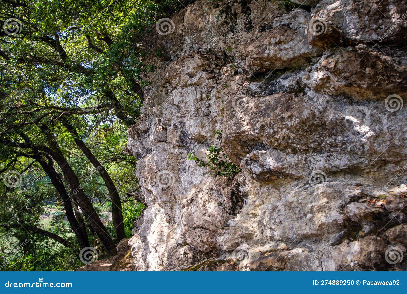 Limestone Erosion, Limestone Outcrop, Basque Country, Spain Stock Photo ...