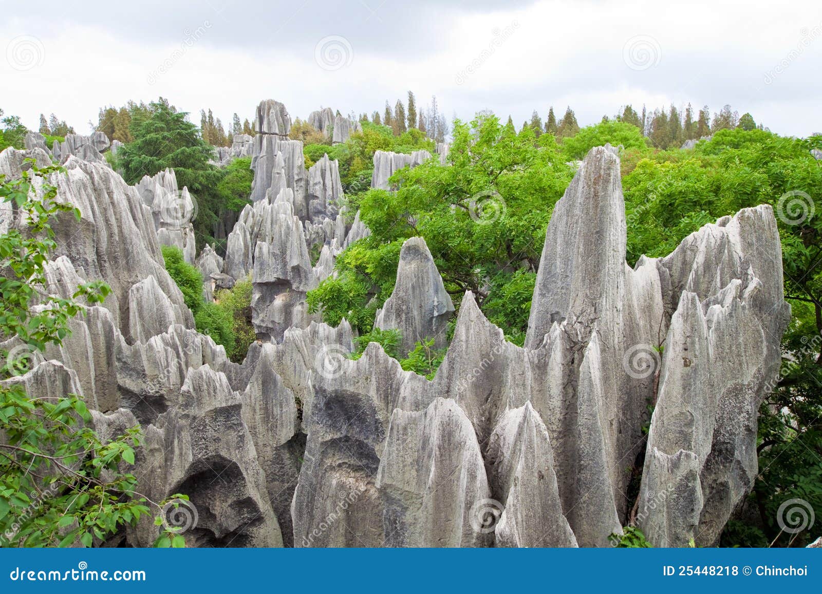 Limestone Forest at Kunming Stone Forest or Shilin Stock Photo - Image ...
