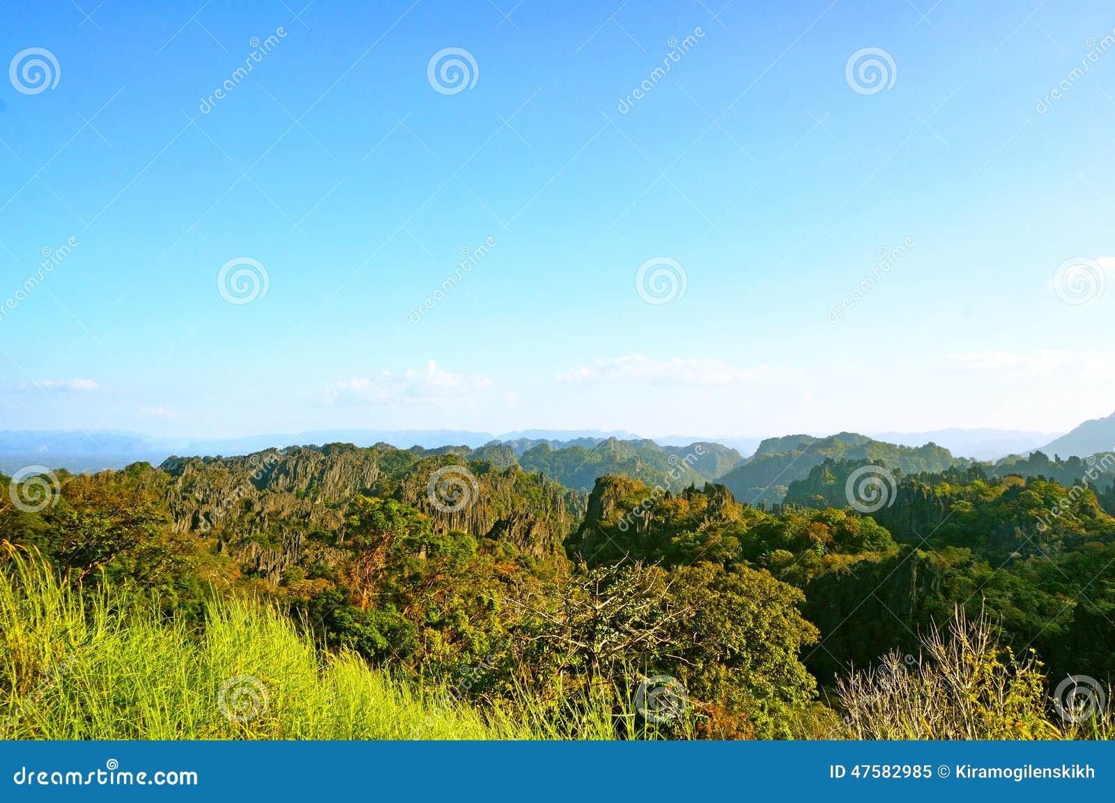 Limestone Forest in Laos stock image. Image of peak, landscape - 47582985