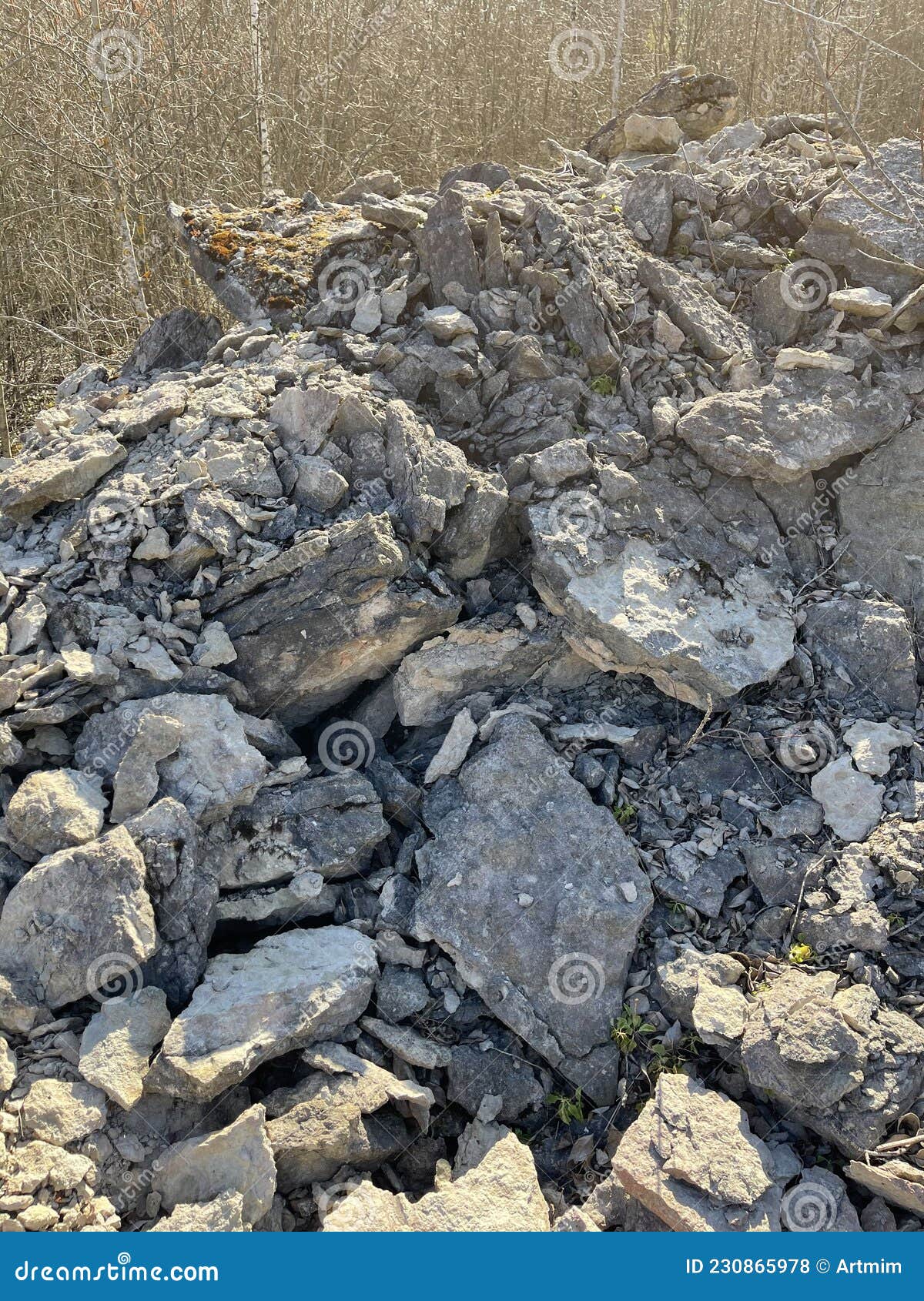 Excavations, Fossil, Underground. Skeleton Of An Ancient Scolopendra ...