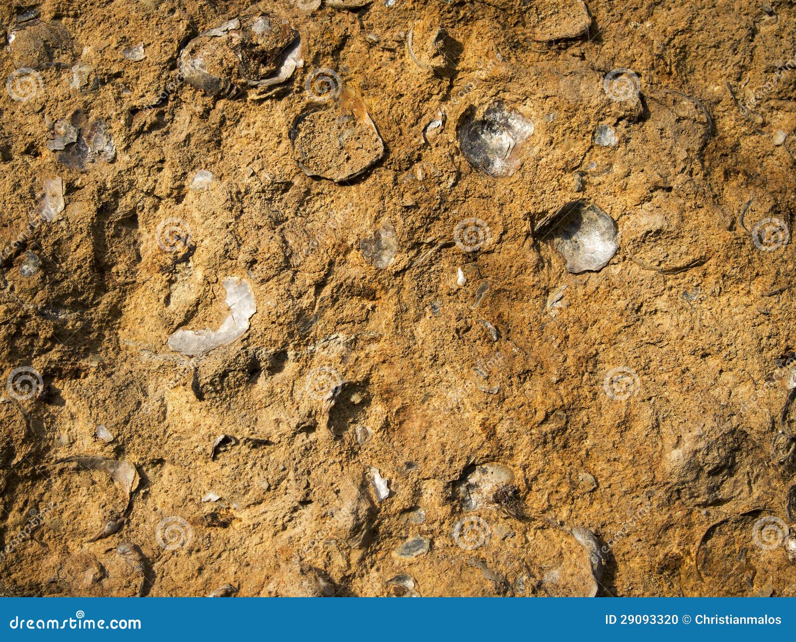 Limestone with Fossils Texture Stock Photo - Image of ancient ...