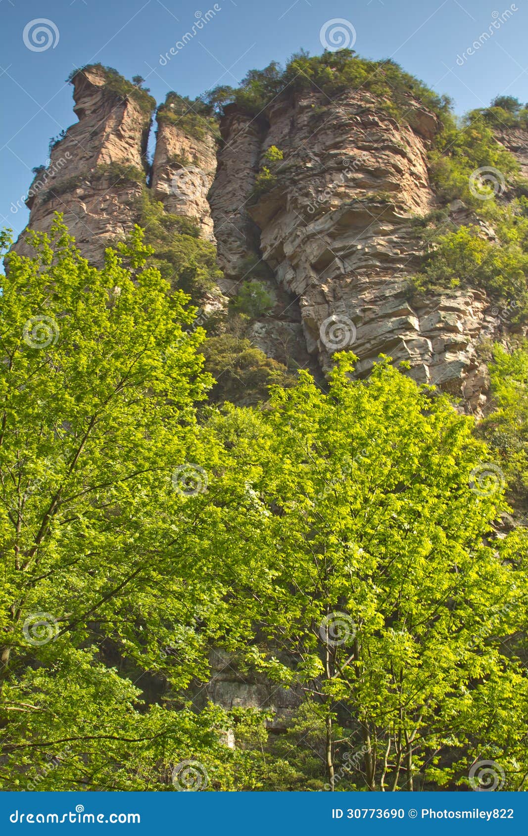 Limestone hills and trees stock photo. Image of natural - 30773690