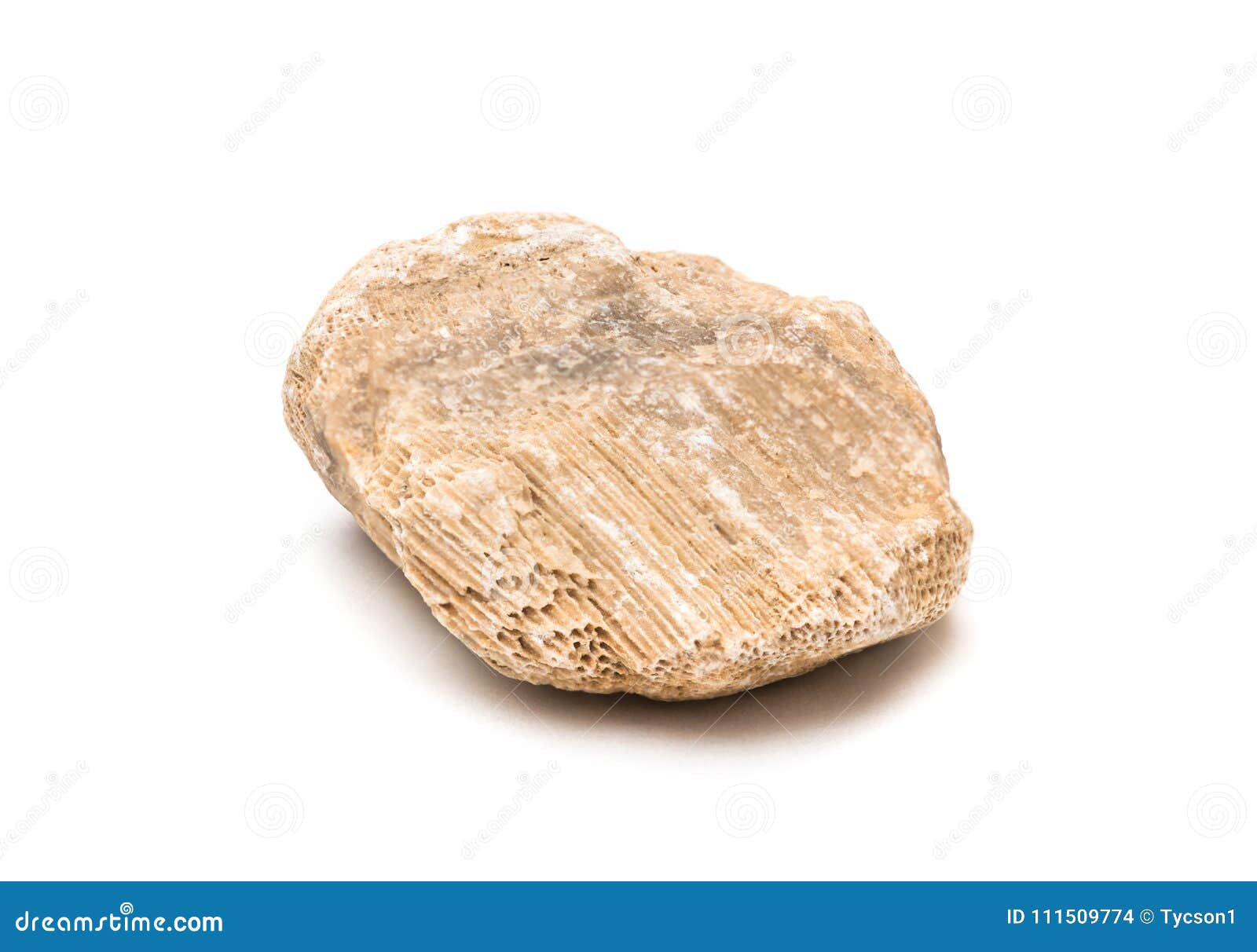 Limestone isolated stock photo. Image of nature, calcium - 111509774