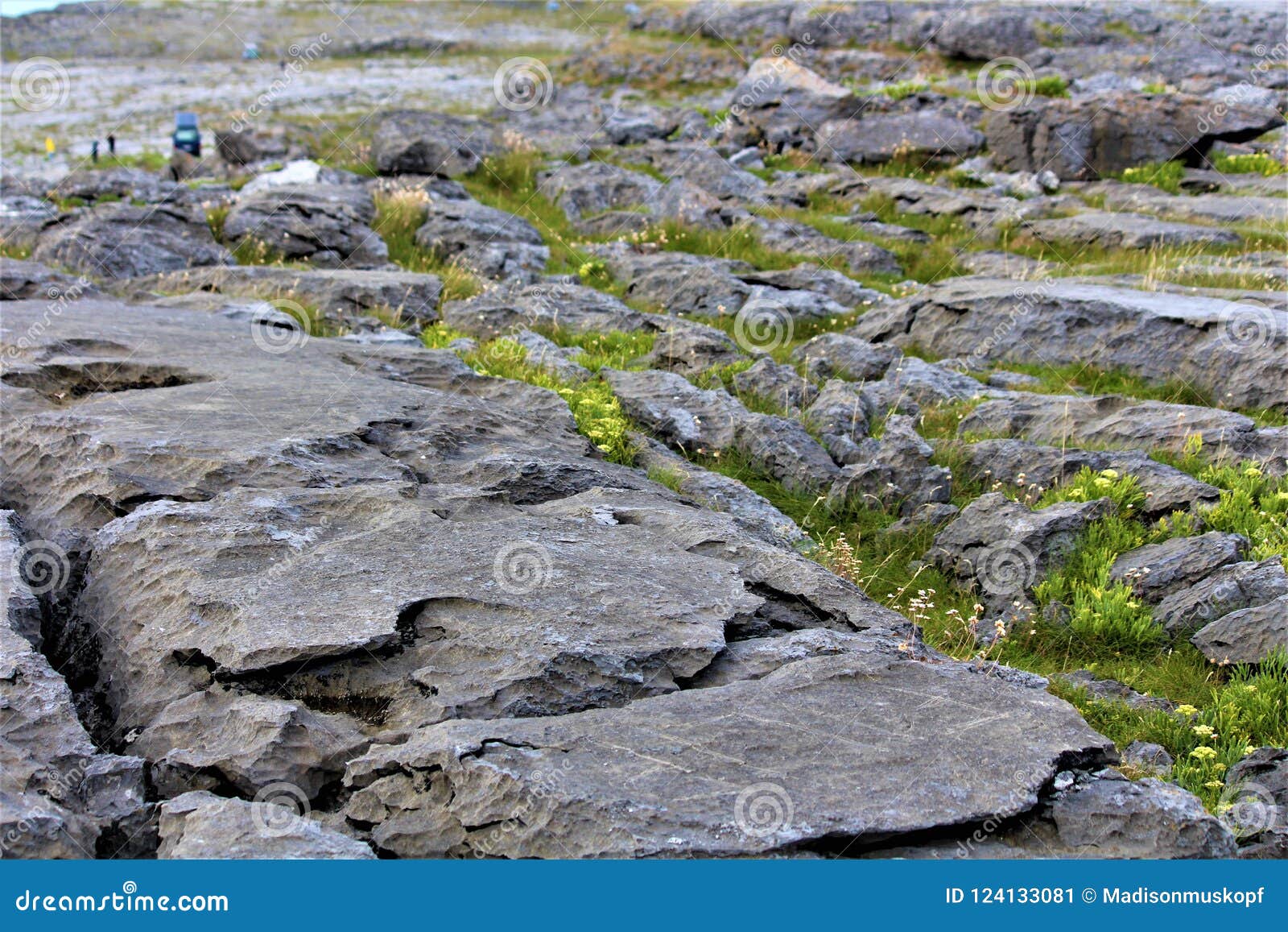 The Burren in Ireland stock image. Image of pavement - 124133081
