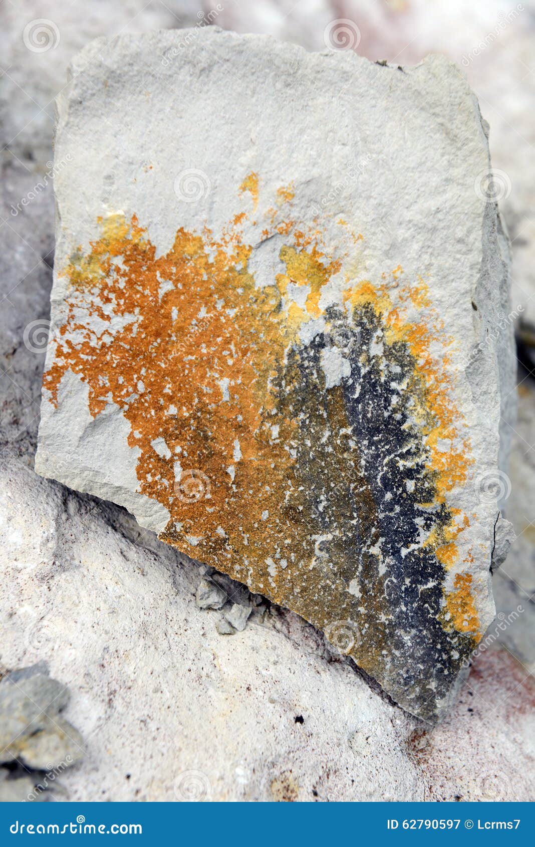 Limestone with Manganese Dendrites Stock Image - Image of science ...