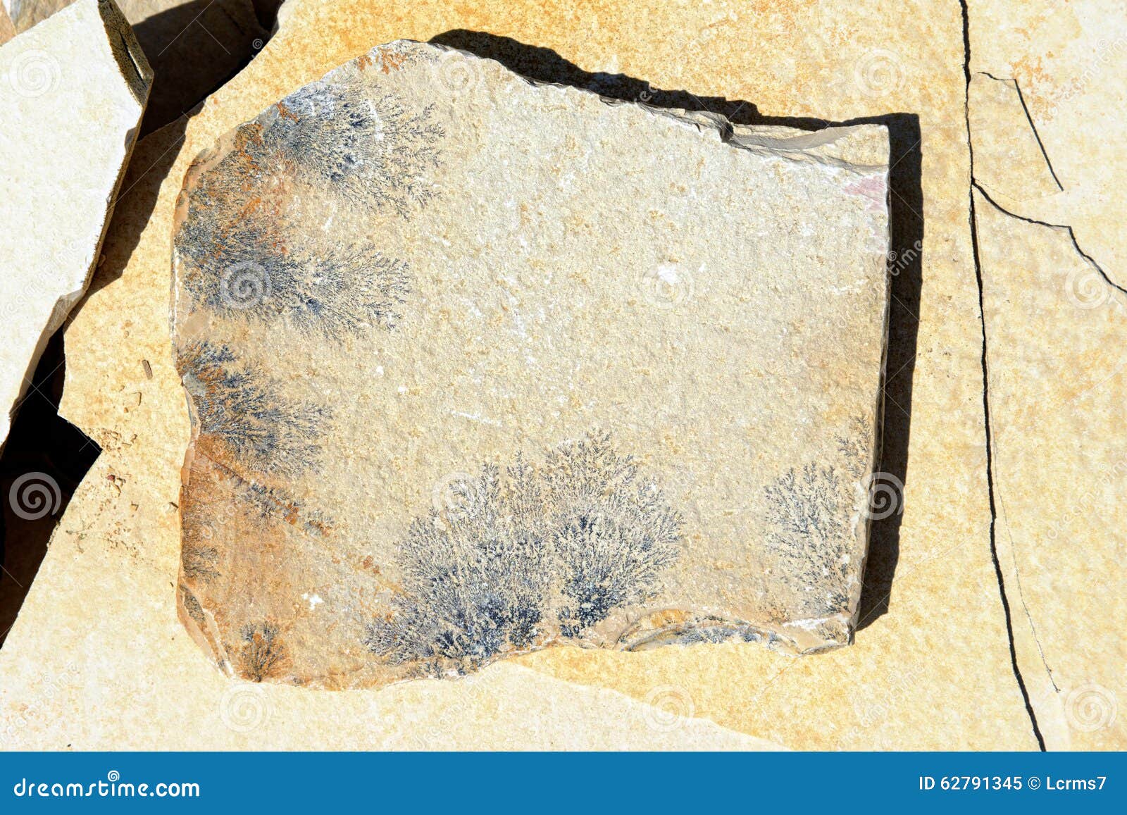 Limestone with Manganese Dendrites Stock Image - Image of decoration ...