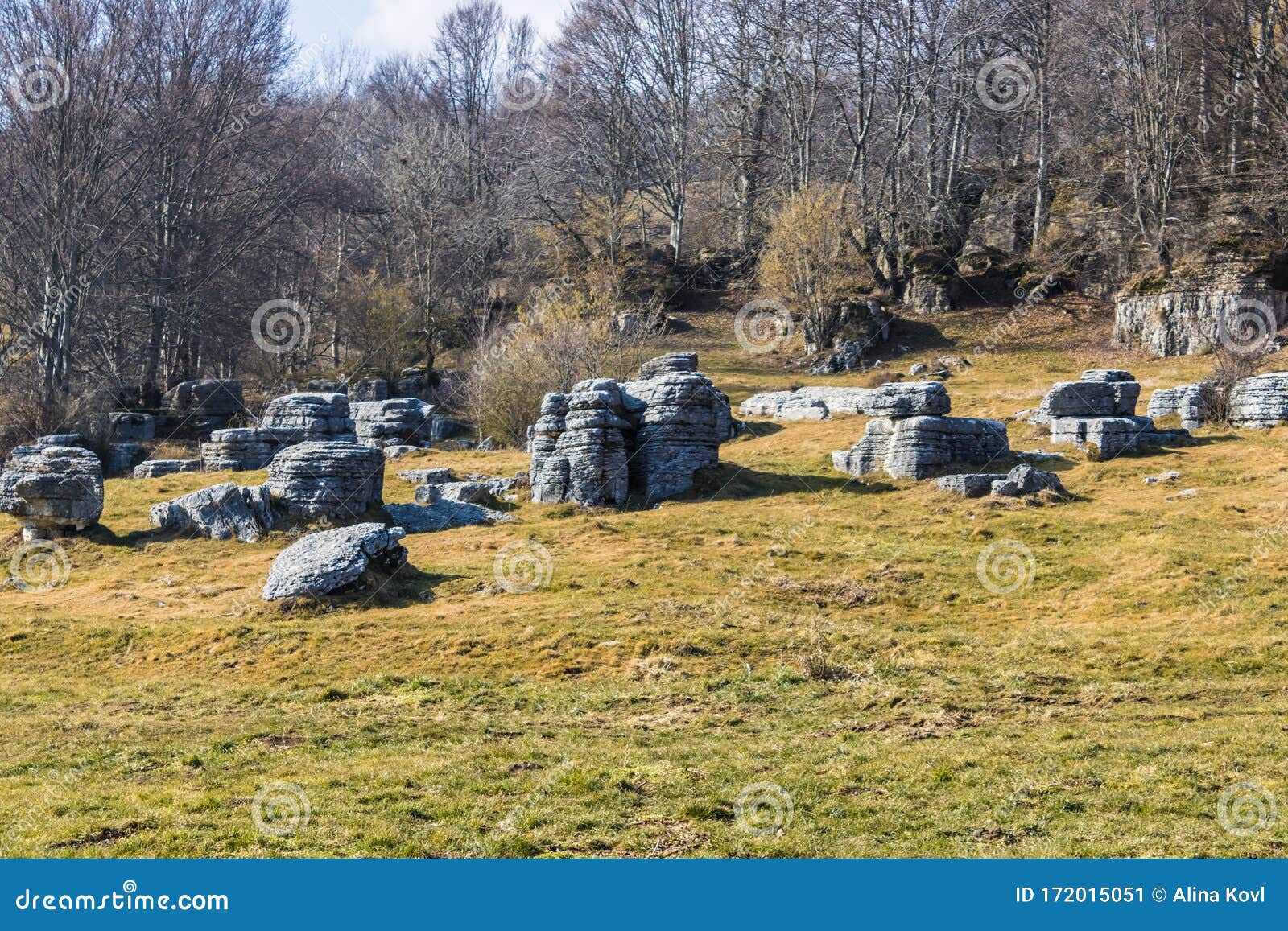 Limestone Monoliths in the Forest Stock Image - Image of scenic ...