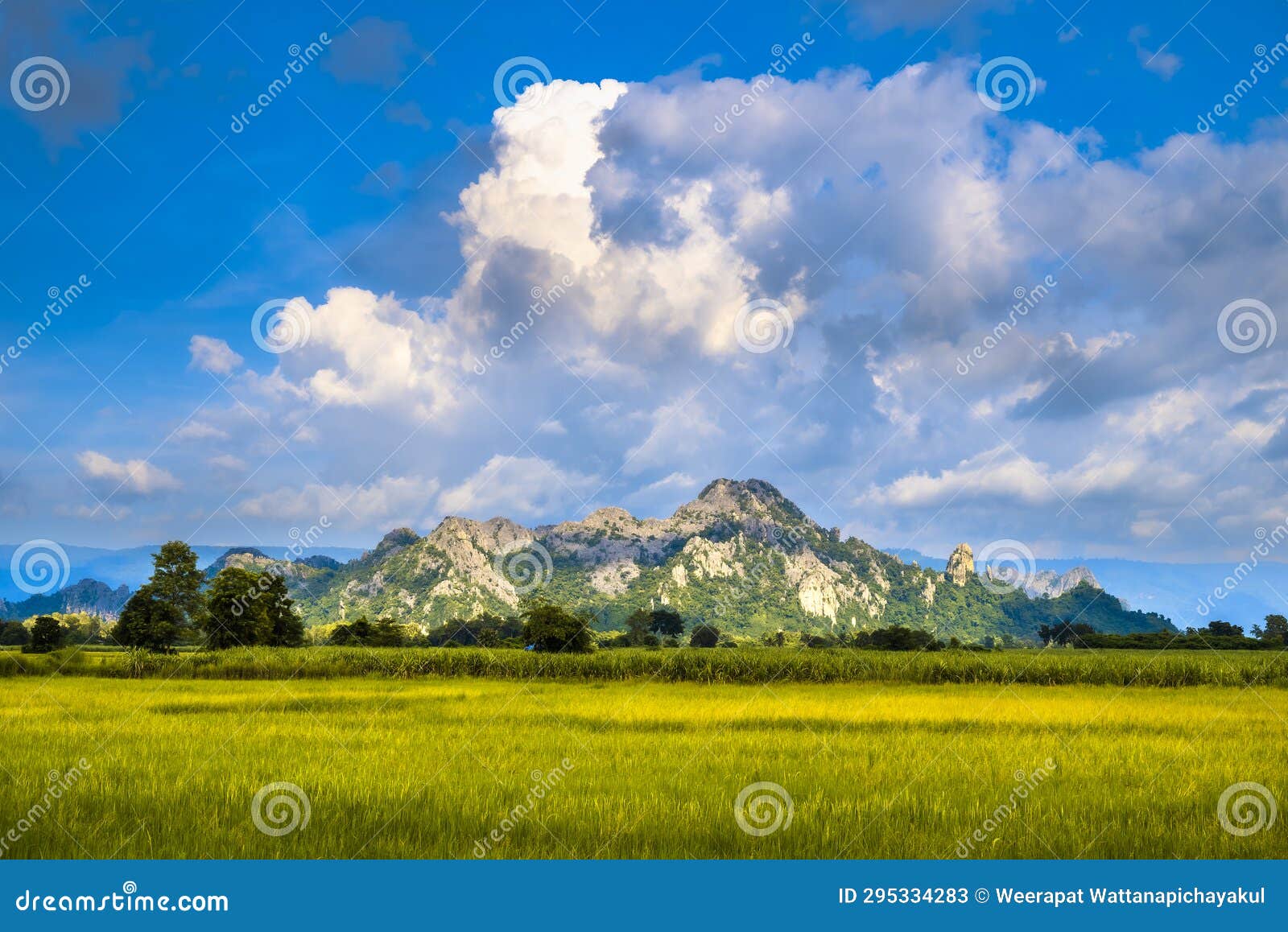Limestone Mountain and Rice Field at Neon Maprang, Phitsanulok Stock ...