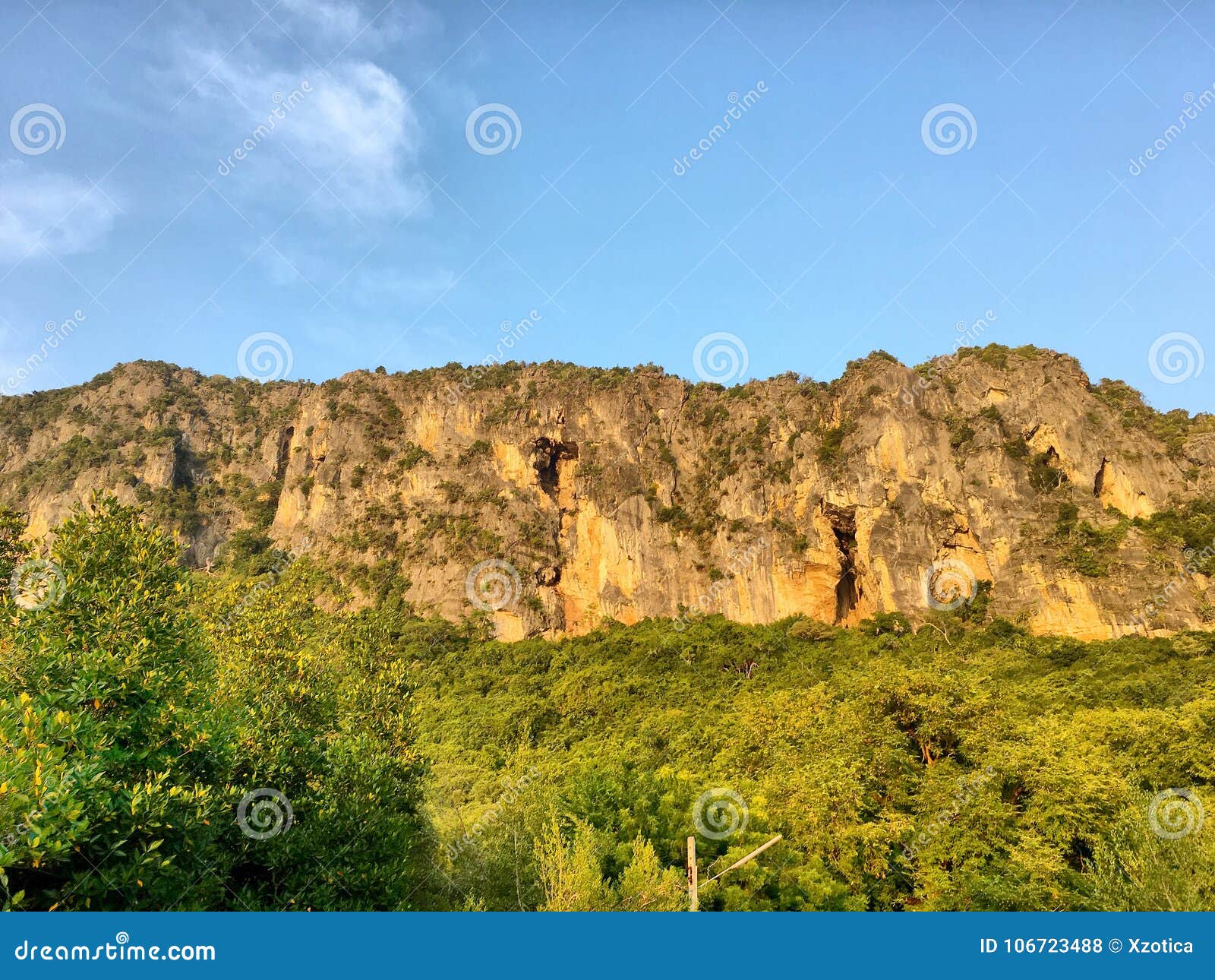 Limestone Mountain Ridge with Many Trees Stock Photo - Image of ...