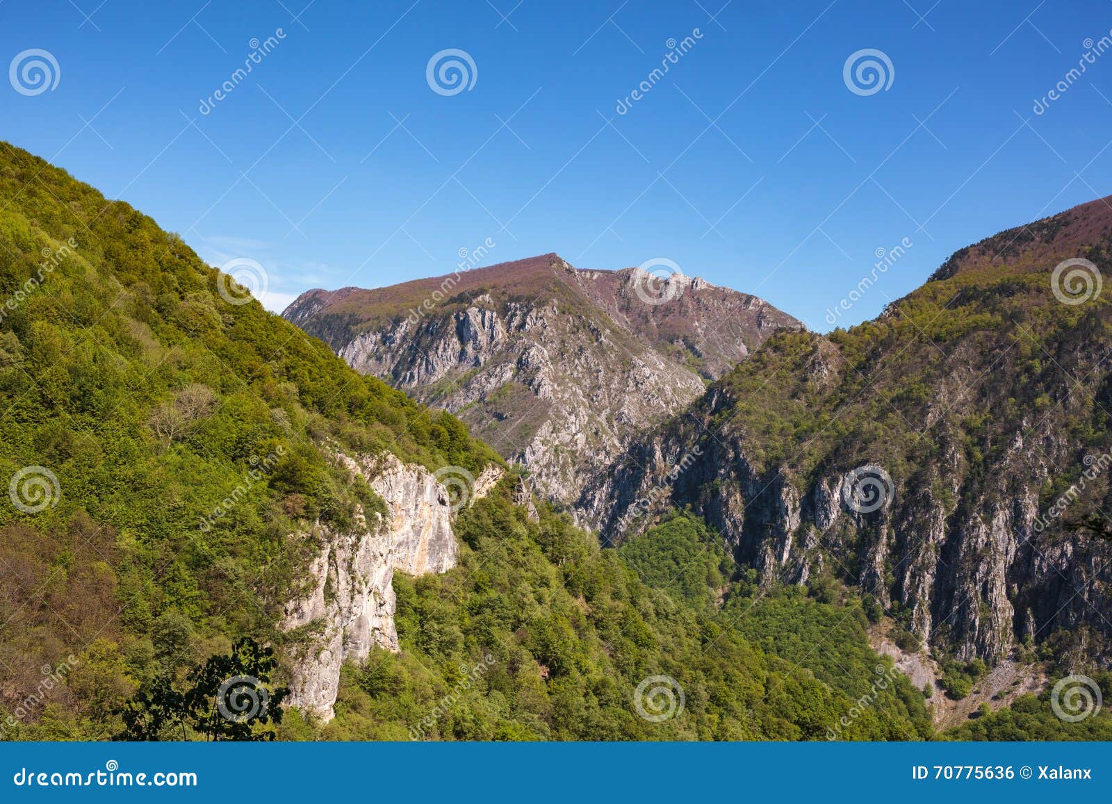 Limestone mountains stock photo. Image of evergreen, alps - 70775636