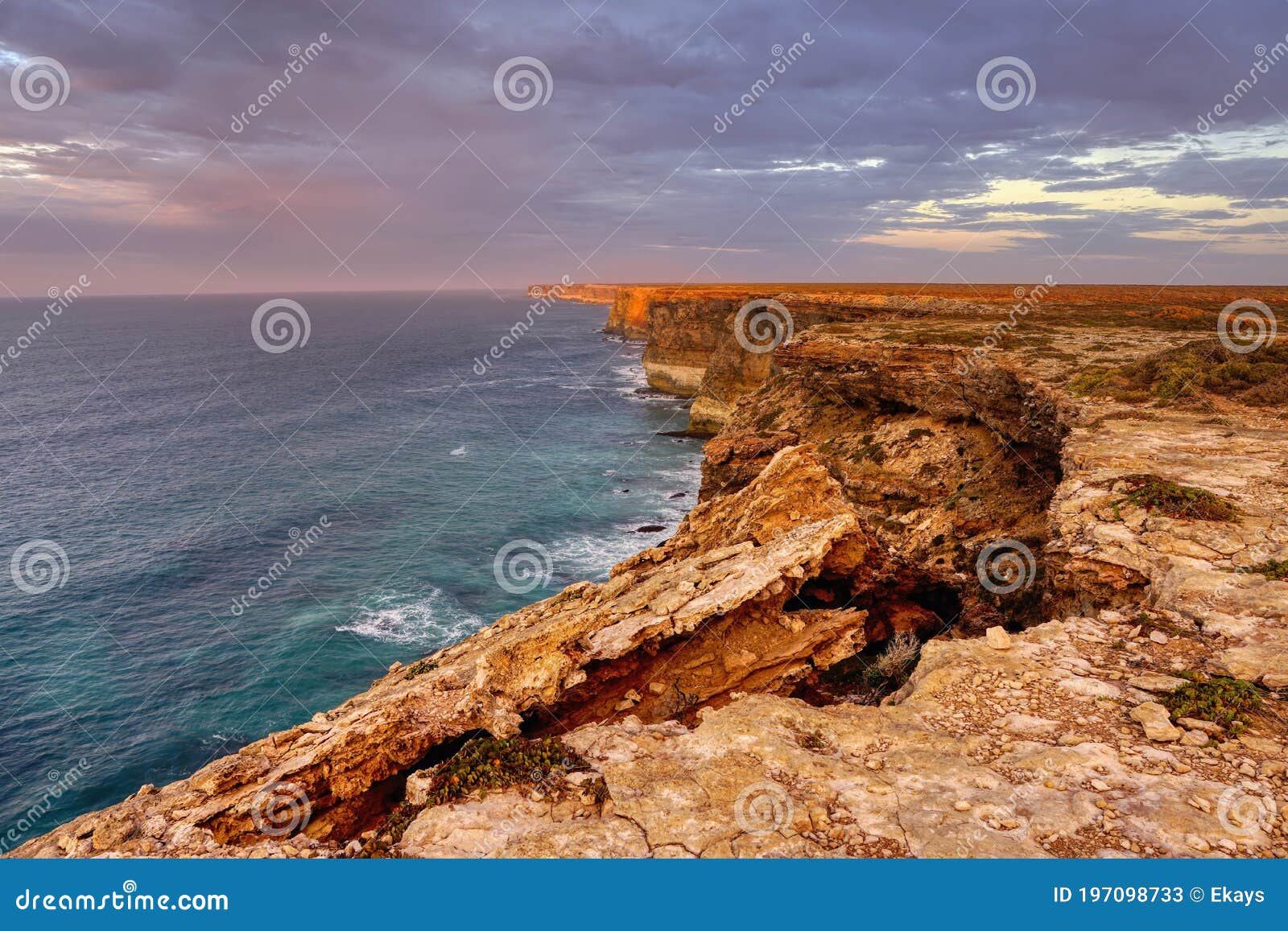 The Limestone Nullarbor Plain Stock Image - Image of nature, bedrock ...
