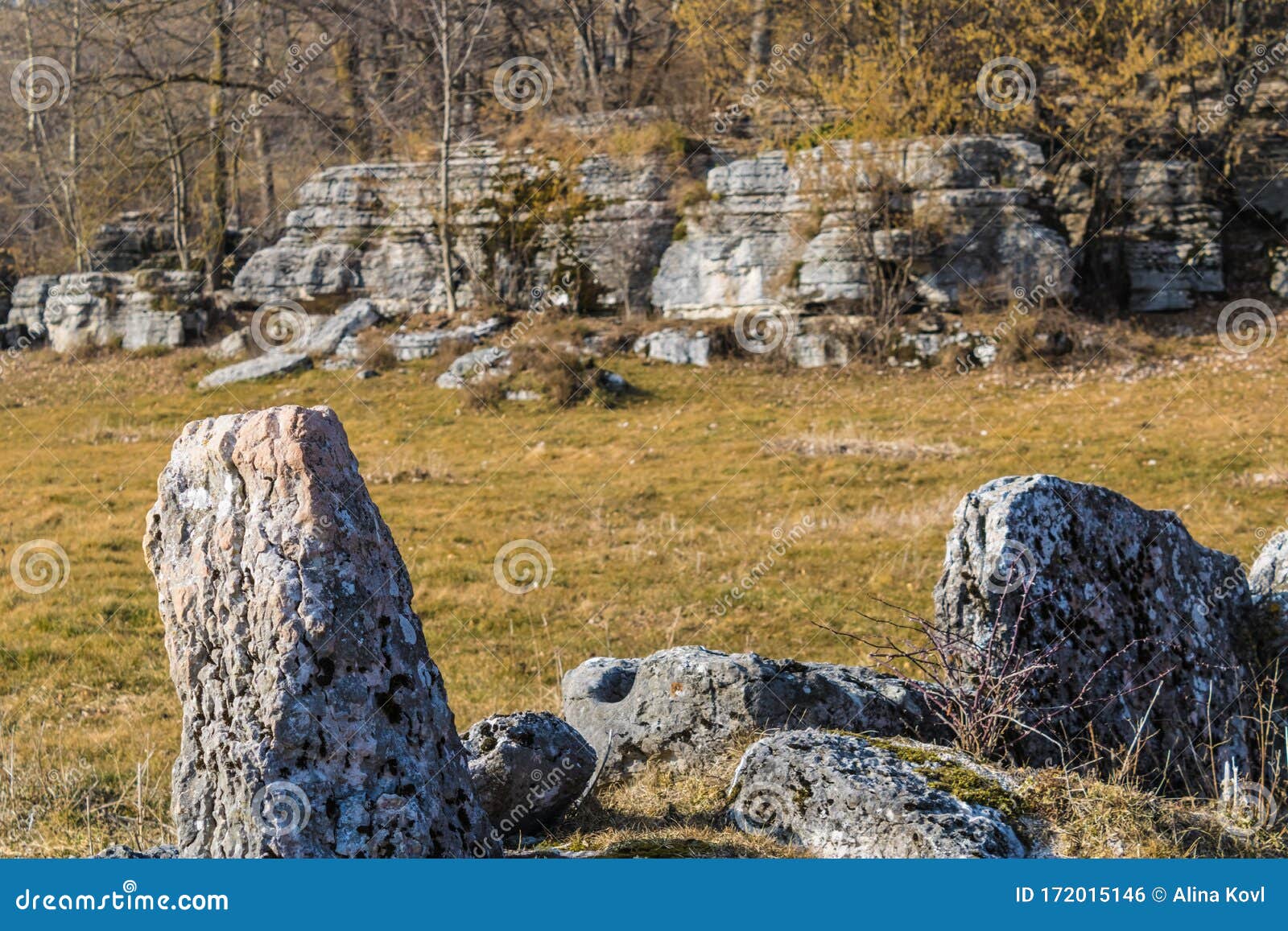 Limestone Outcrop in the Park Stock Photo - Image of nature, formation ...