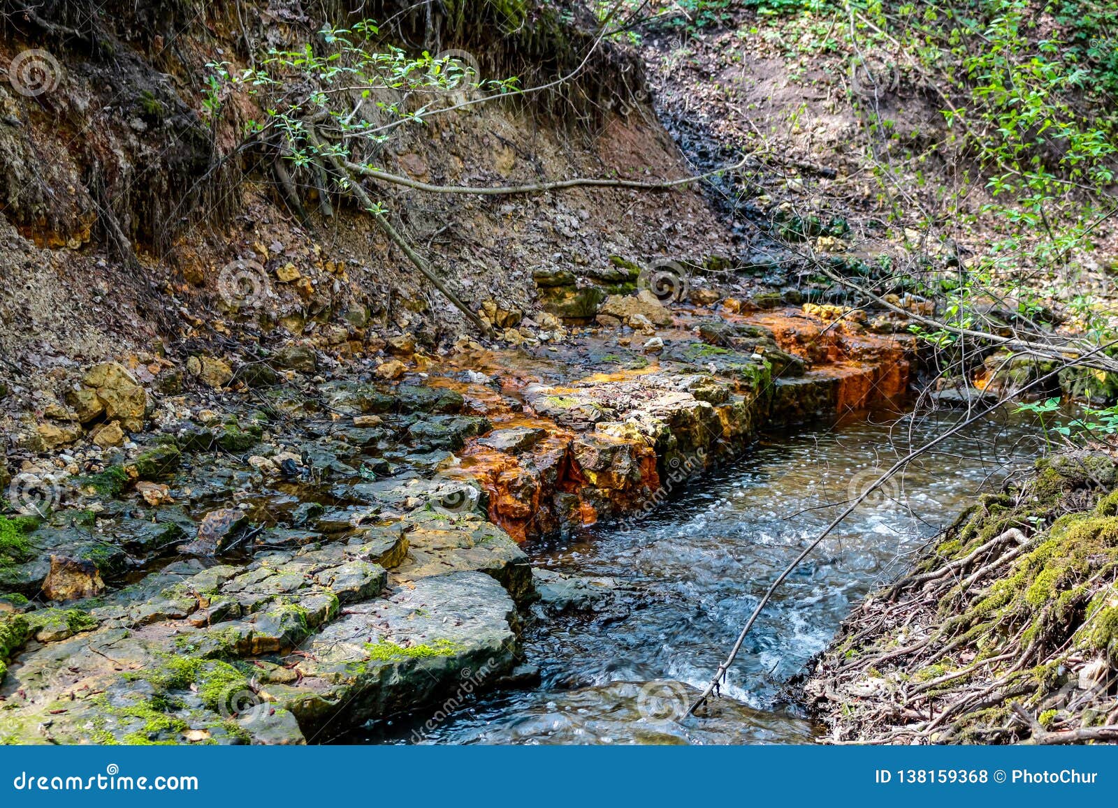 Limestone Outcrops on a Creek in a Ravine Stock Photo - Image of ...