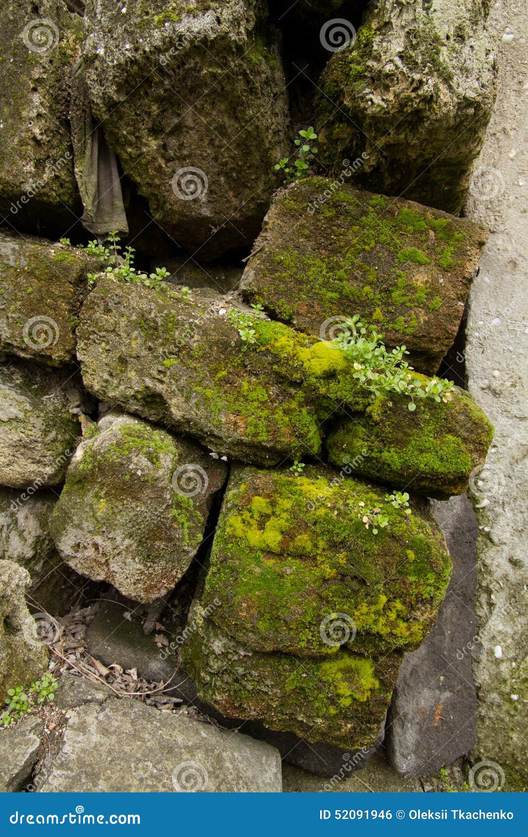 Limestone Overgrown with Moss Stock Photo - Image of sandstone ...