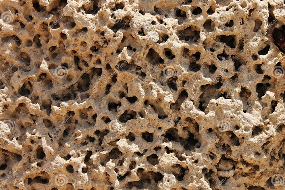 Limestone pattern stock photo. Image of ancient, perforation - 28460650