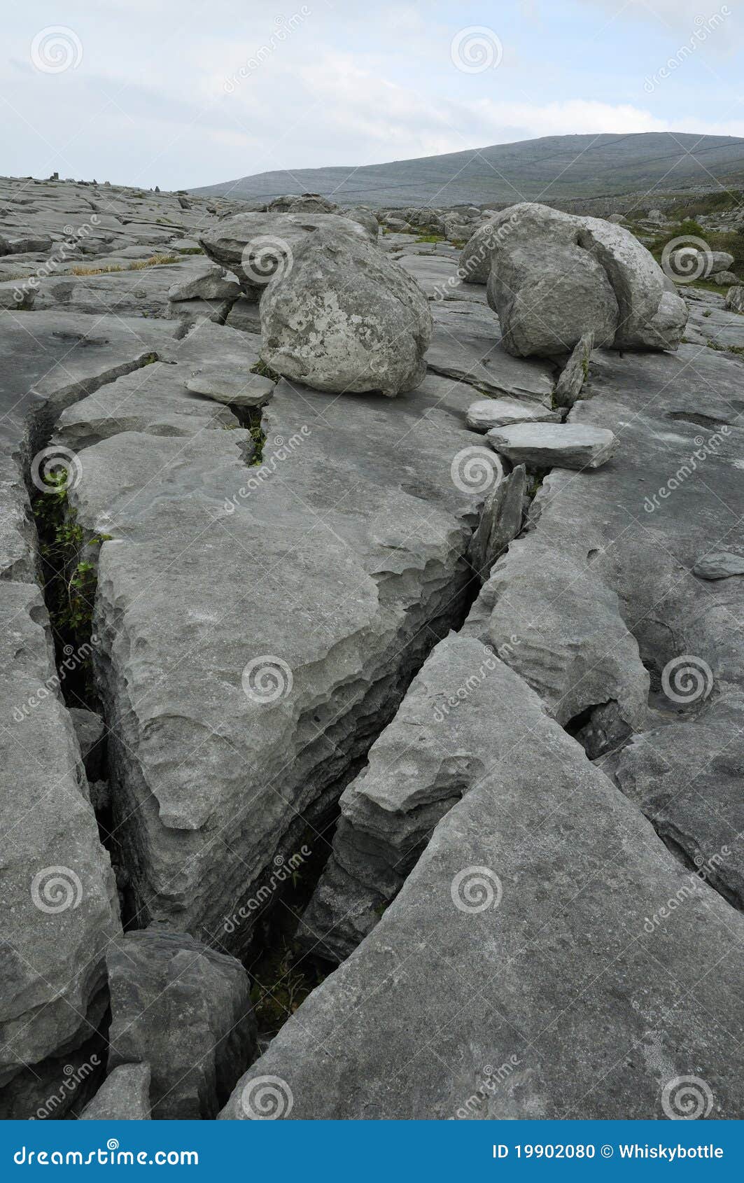 Limestone Pavement stock photo. Image of head, stone - 19902080