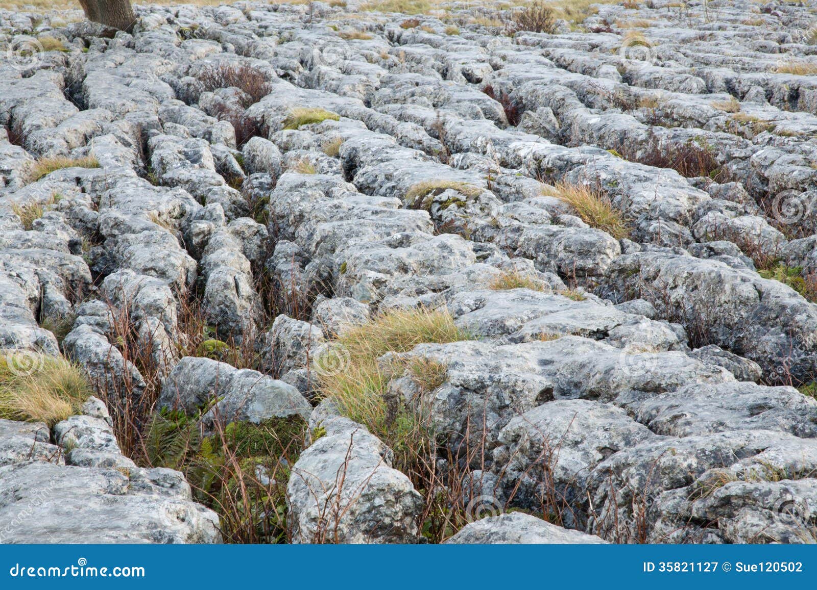 Limestone Pavement stock image. Image of winter, geological - 35821127