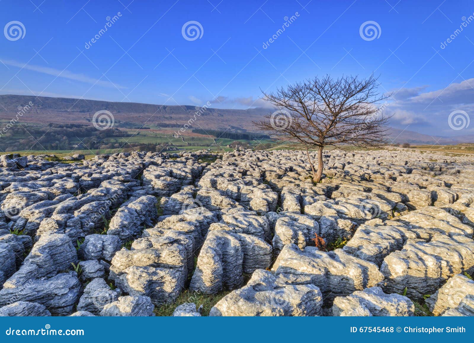 Limestone Pavement in the Yorkshire Dales Stock Photo - Image of ...