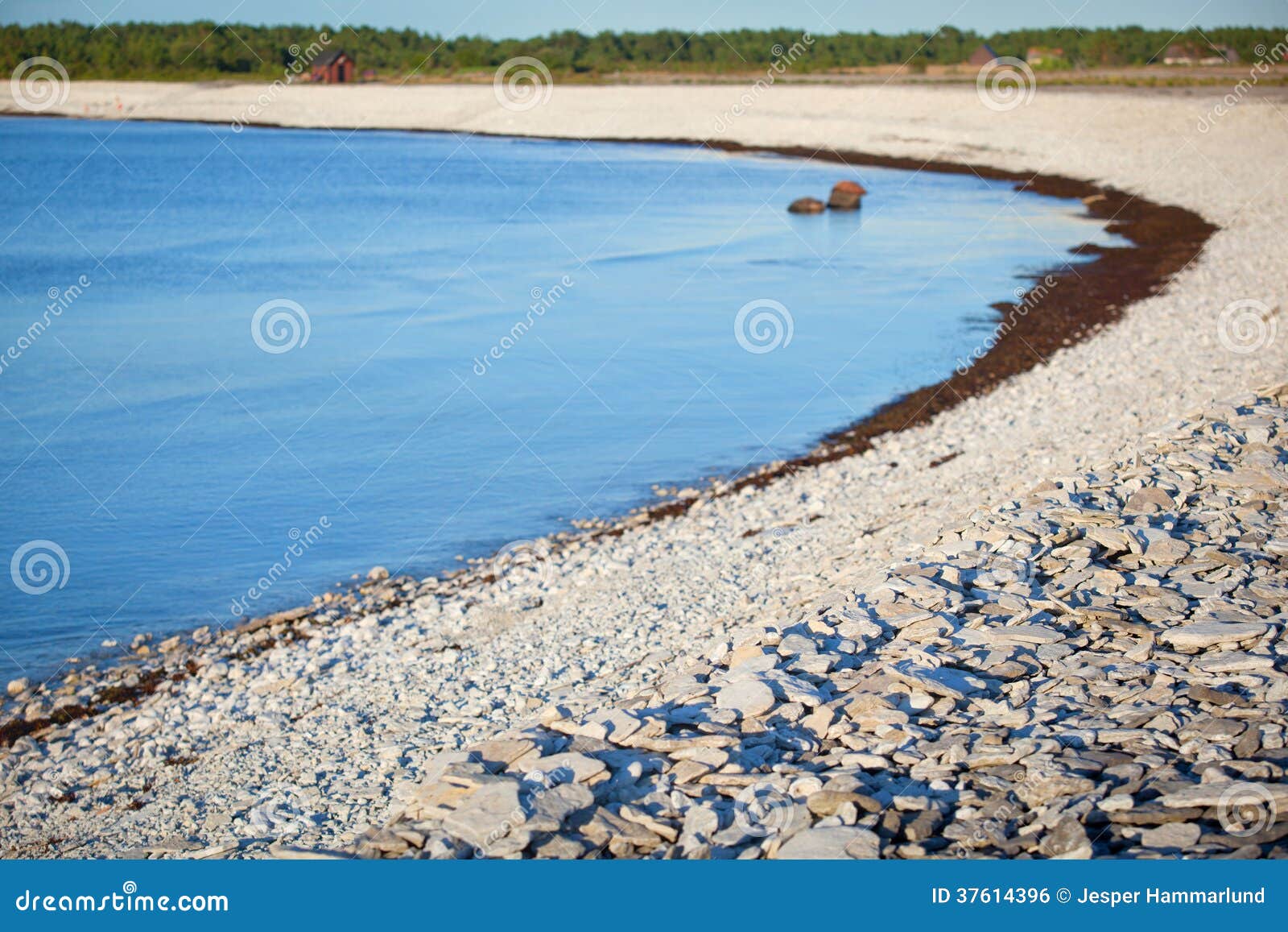 Limestone Pebble Beach in Sweden.GN Stock Photo - Image of rock, faro ...