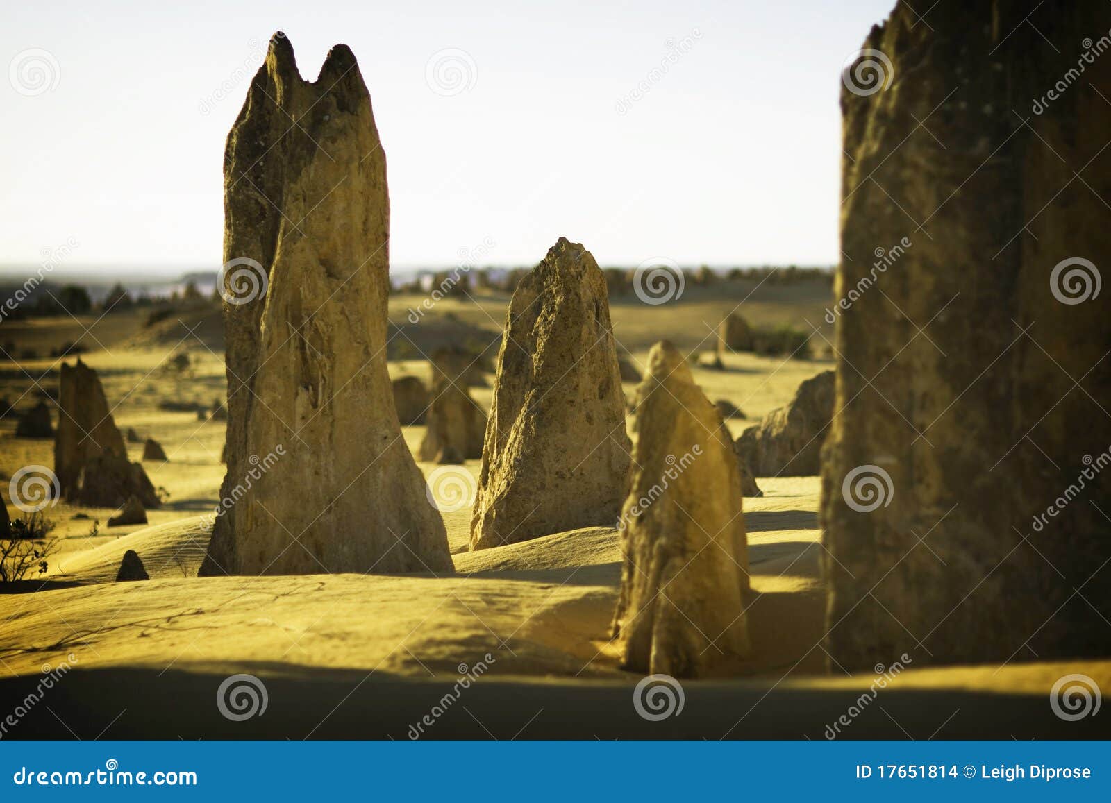 Limestone Pinnacles stock photo. Image of formation, formations - 17651814