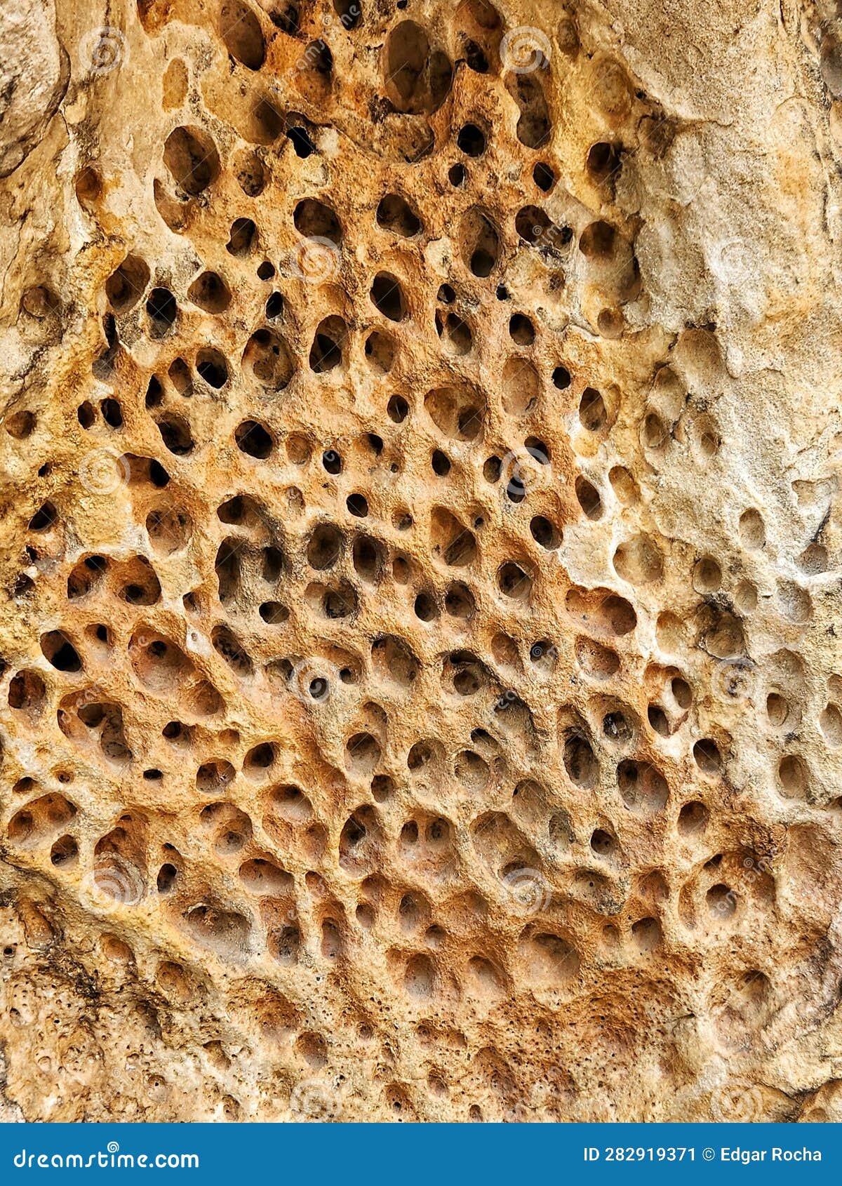 Limestone Rock Formation, Has Holes in Different Sizes and Curious ...