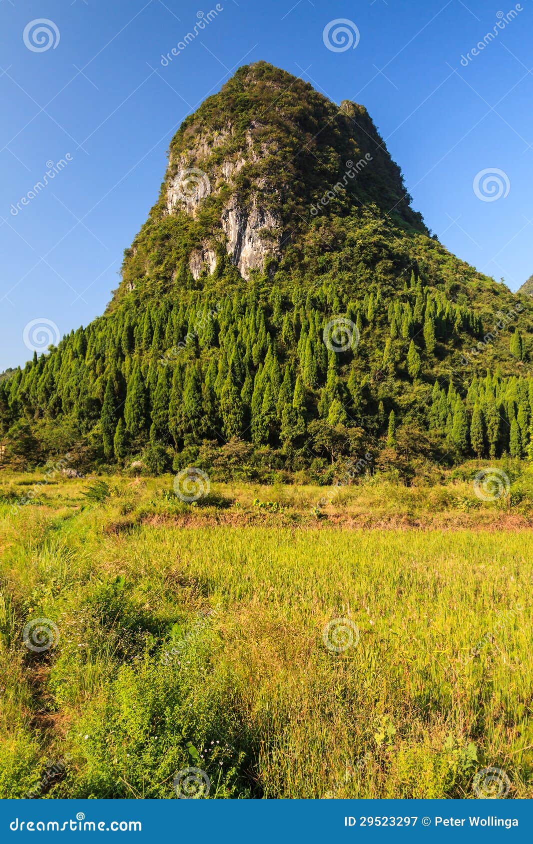 Limestone Rock Formations in Morning Sun Stock Image - Image of ...