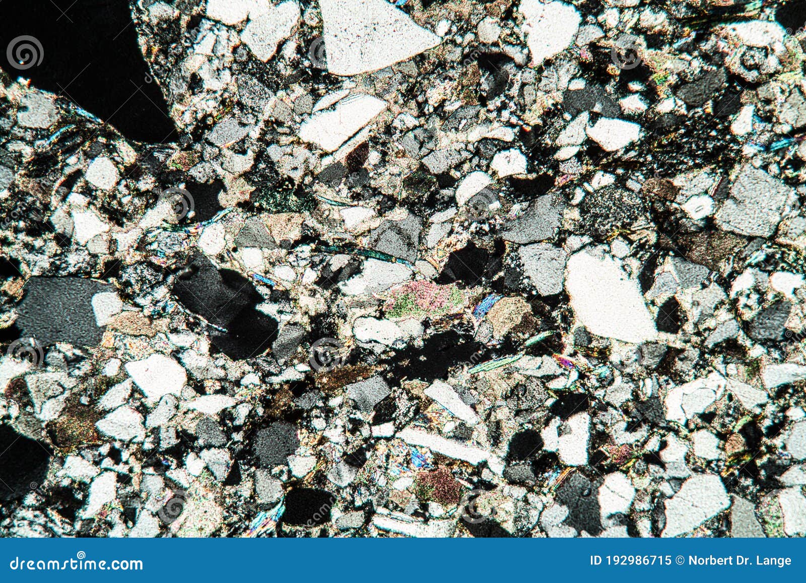 Limestone Rock Under the Microscope Stock Image - Image of microscopy ...