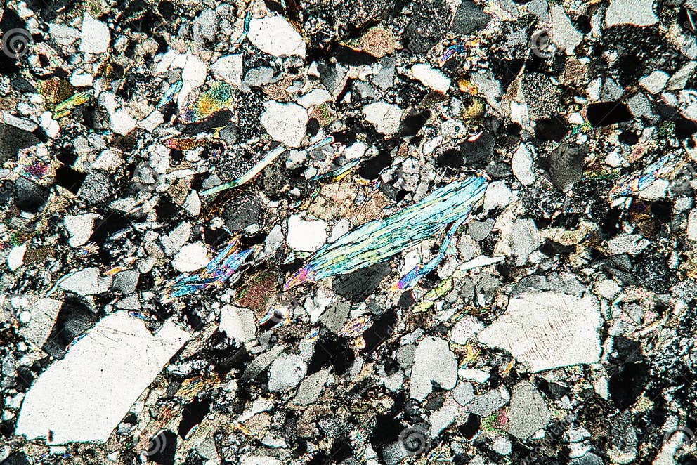 Limestone Rock Under the Microscope Stock Image - Image of microscopy ...