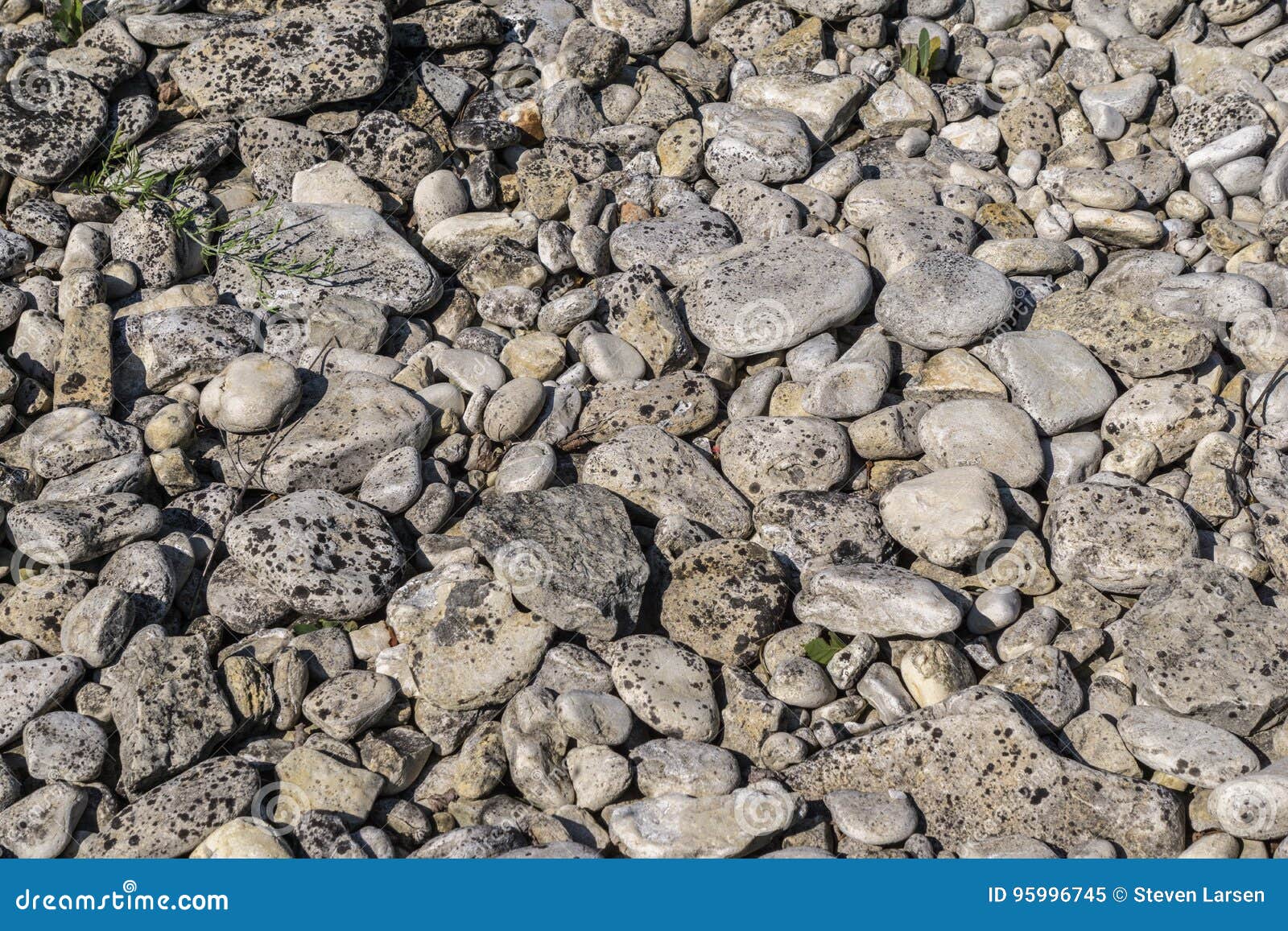 Limestone Rocks on Beach stock image. Image of burnished - 95996745