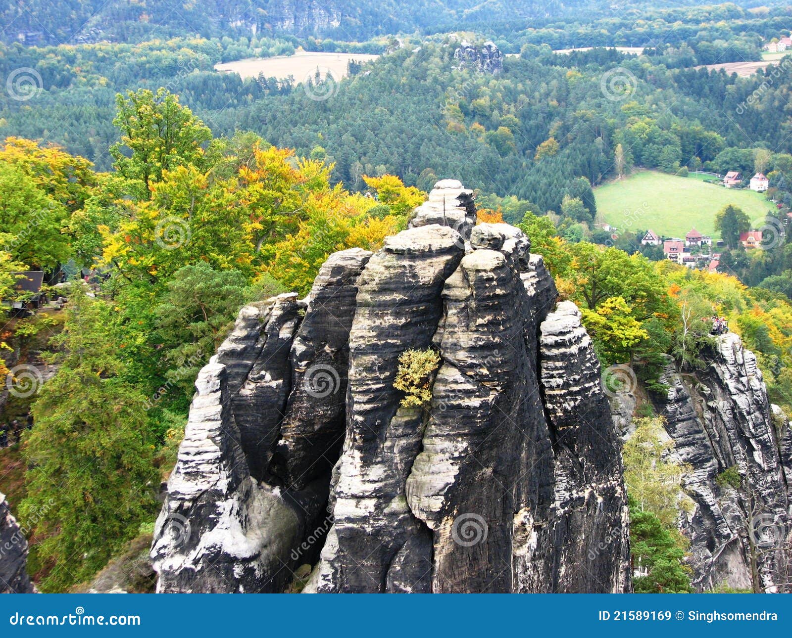 Limestone Rocks in a Forest Stock Image - Image of limestone, leaf ...