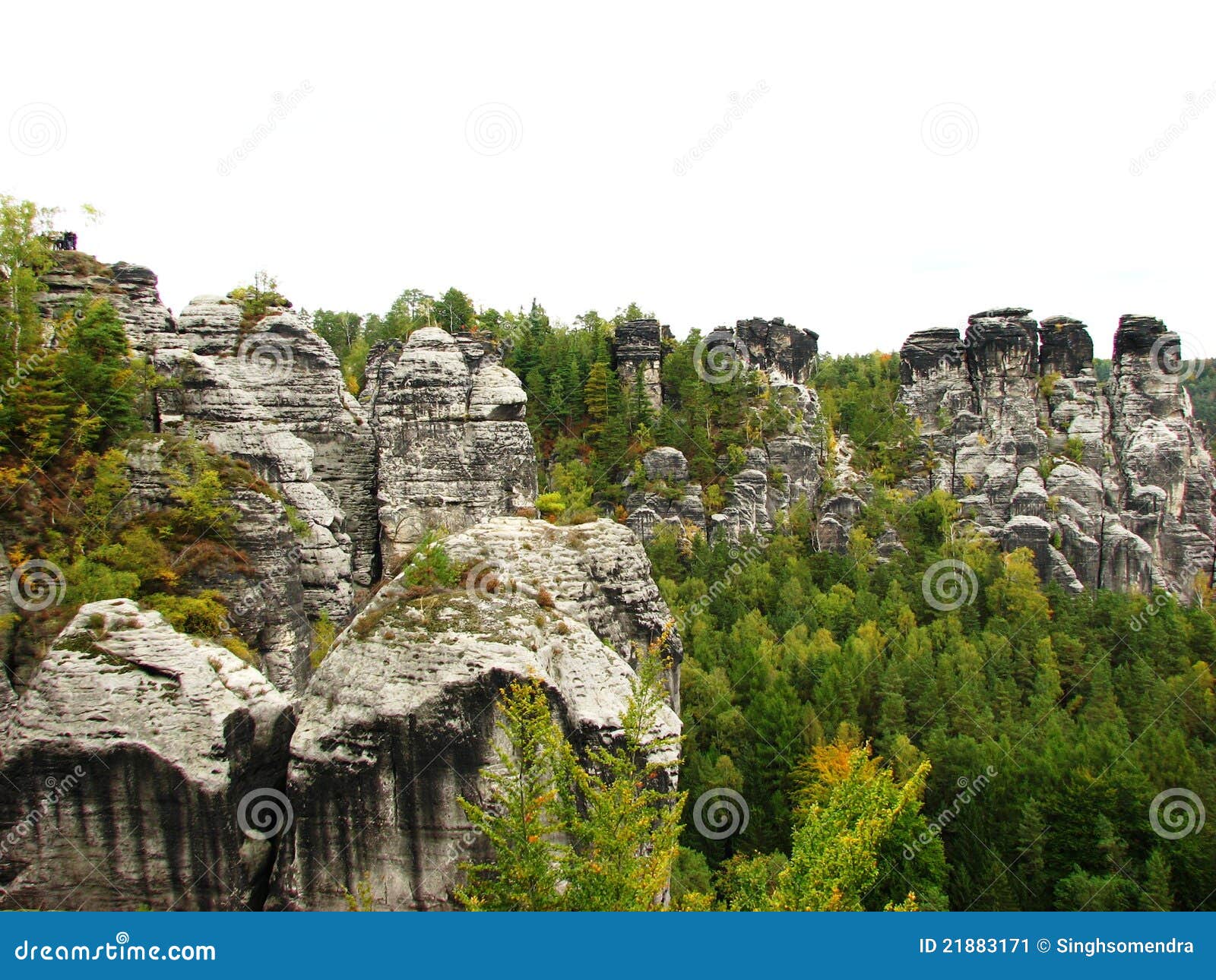 Limestone Rocks in a Forest in White Background Stock Image - Image of ...