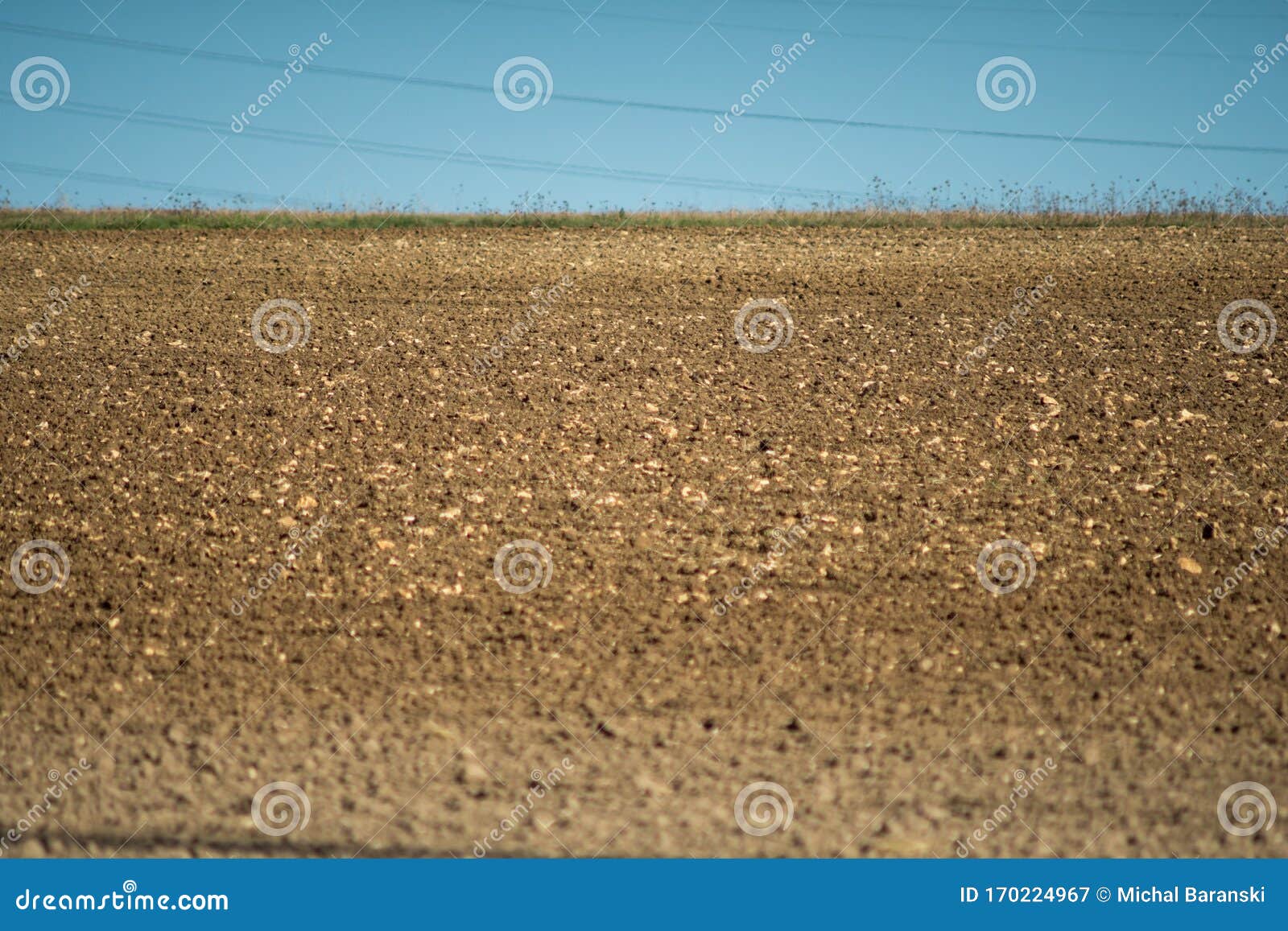Limestone Rocks on the Surface of the Field Stock Image - Image of ...