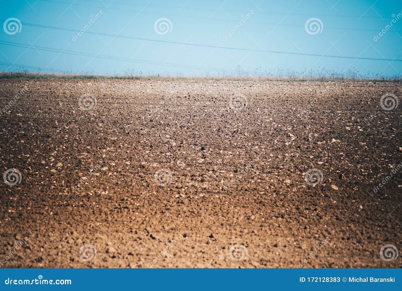 Limestone Rocks on the Surface of the Field Stock Image - Image of ...