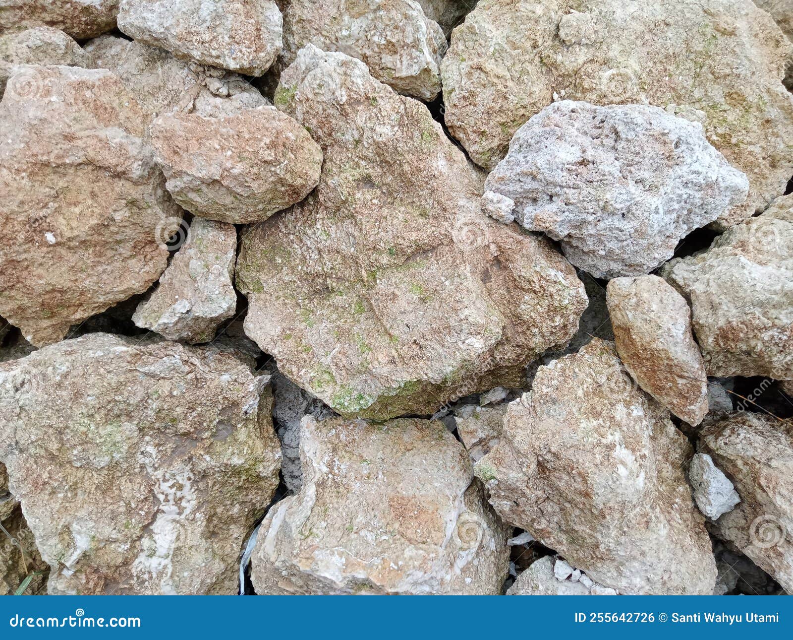 Limestone shards stock photo. Image of limestone, nature - 255642726