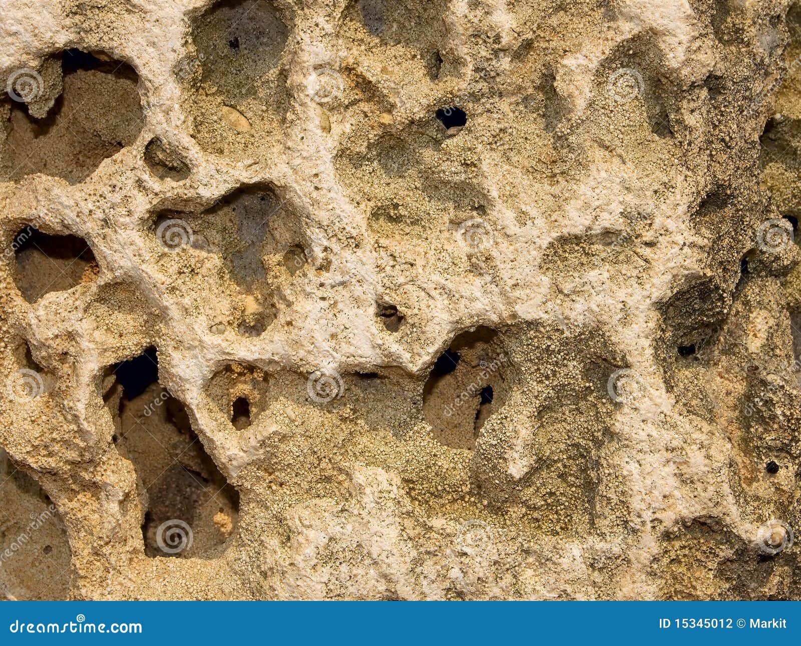 Limestone with Strong Erosion Stock Photo - Image of mollusk, mineral ...